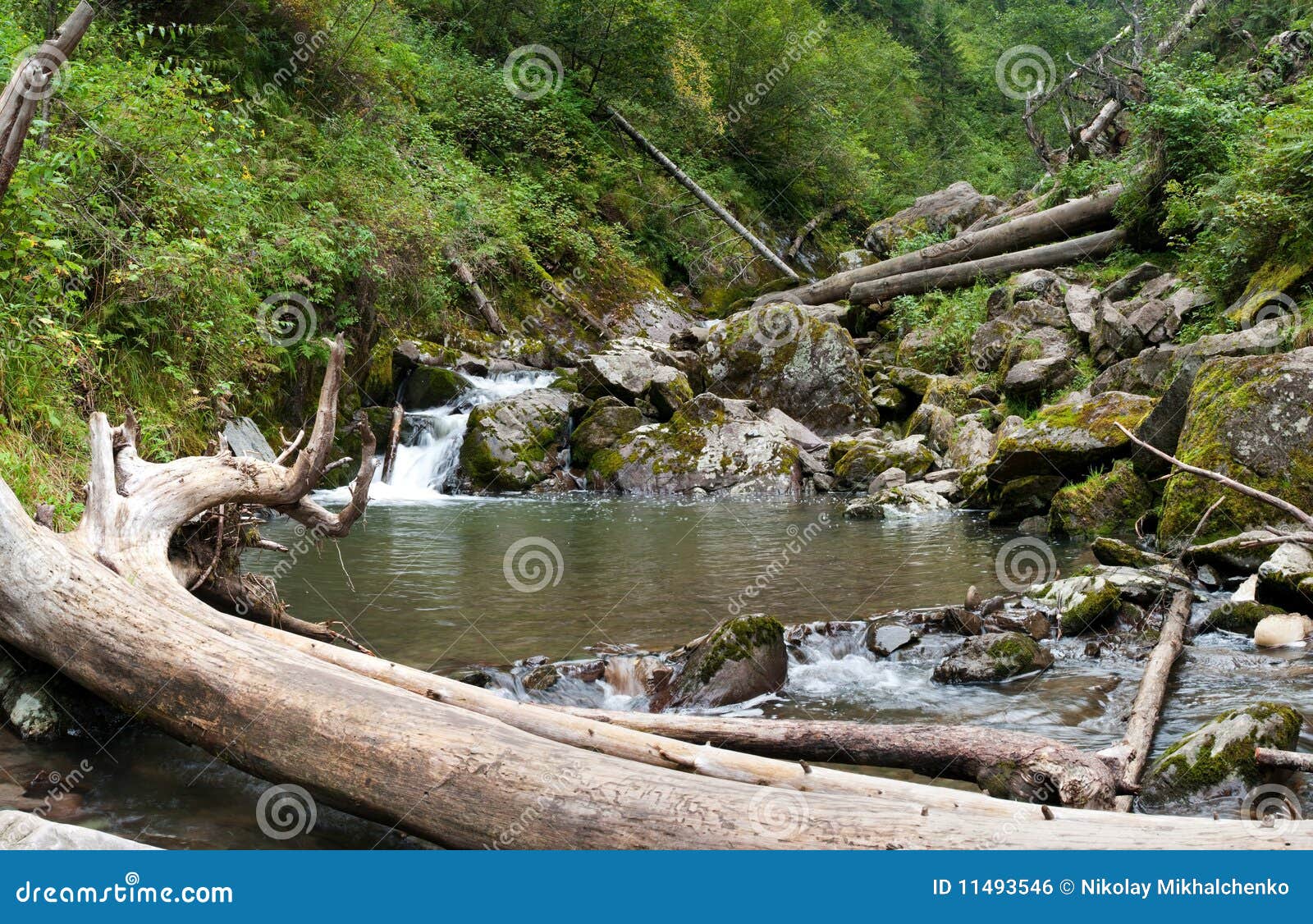 Deep Forest River Landscape Stock Photo - Image of brook, stone: 11493546