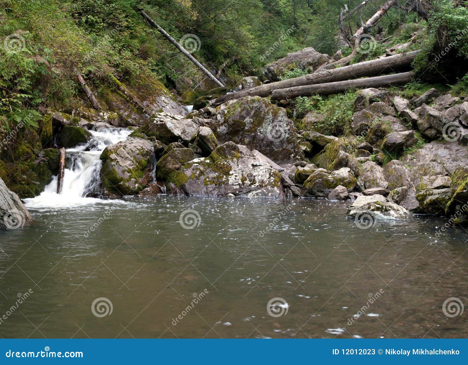 Deep Forest River Landscape Stock Image - Image of vista, river: 12012023