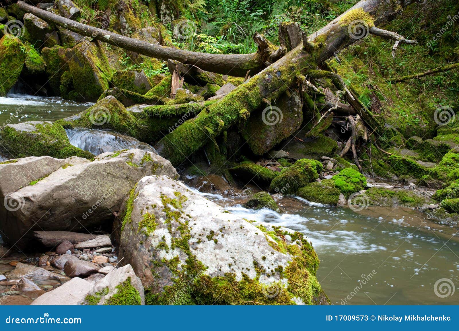 Deep Forest River Landscape Stock Image - Image of brook, waterfall ...