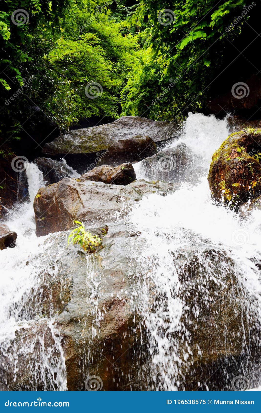 Deep Forest River Wild Waterfall View. Forest River Wild Landscape ...