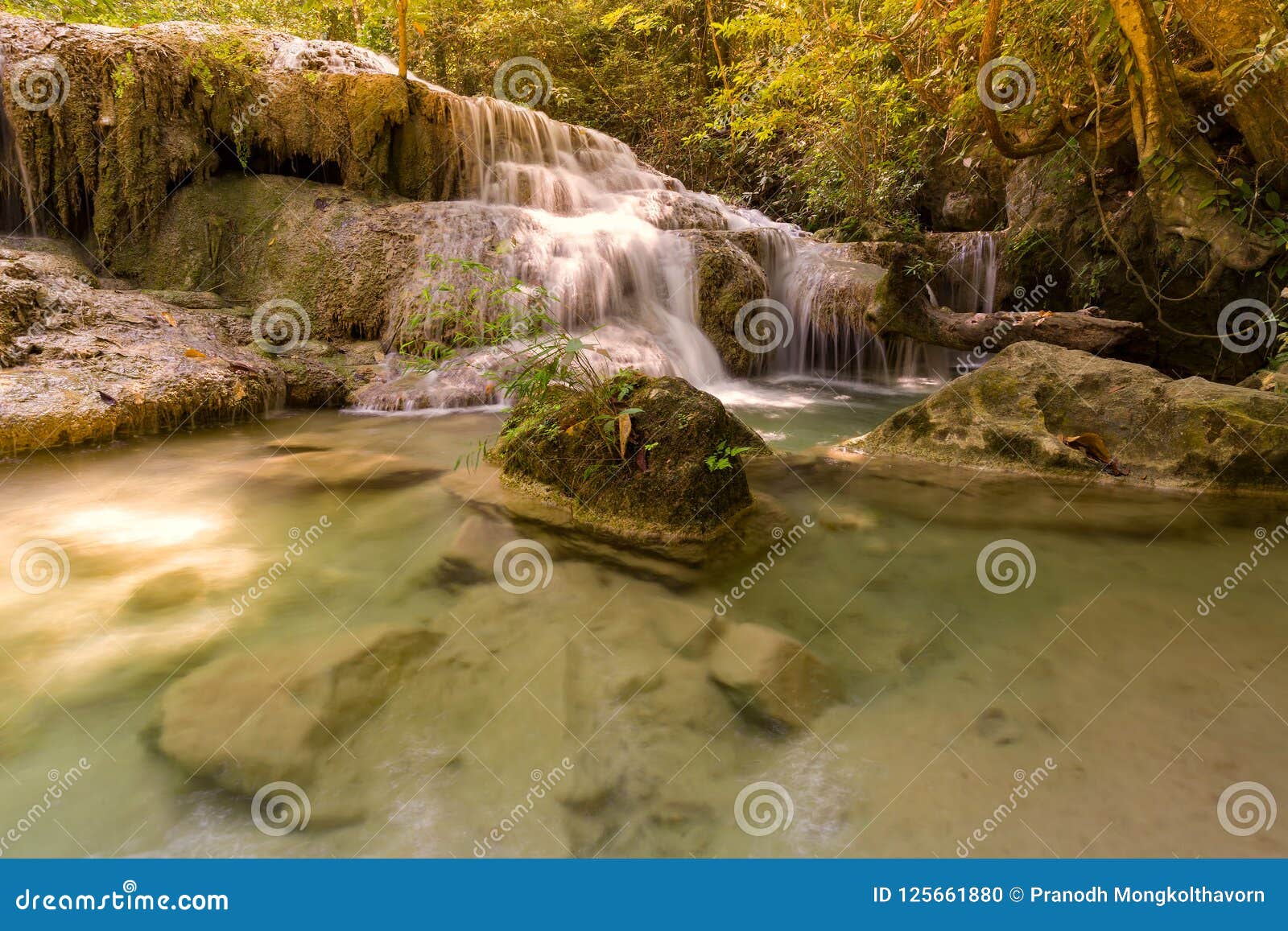 Deep Forest Stream Waterfall Stock Photo - Image of beautiful, cascade ...