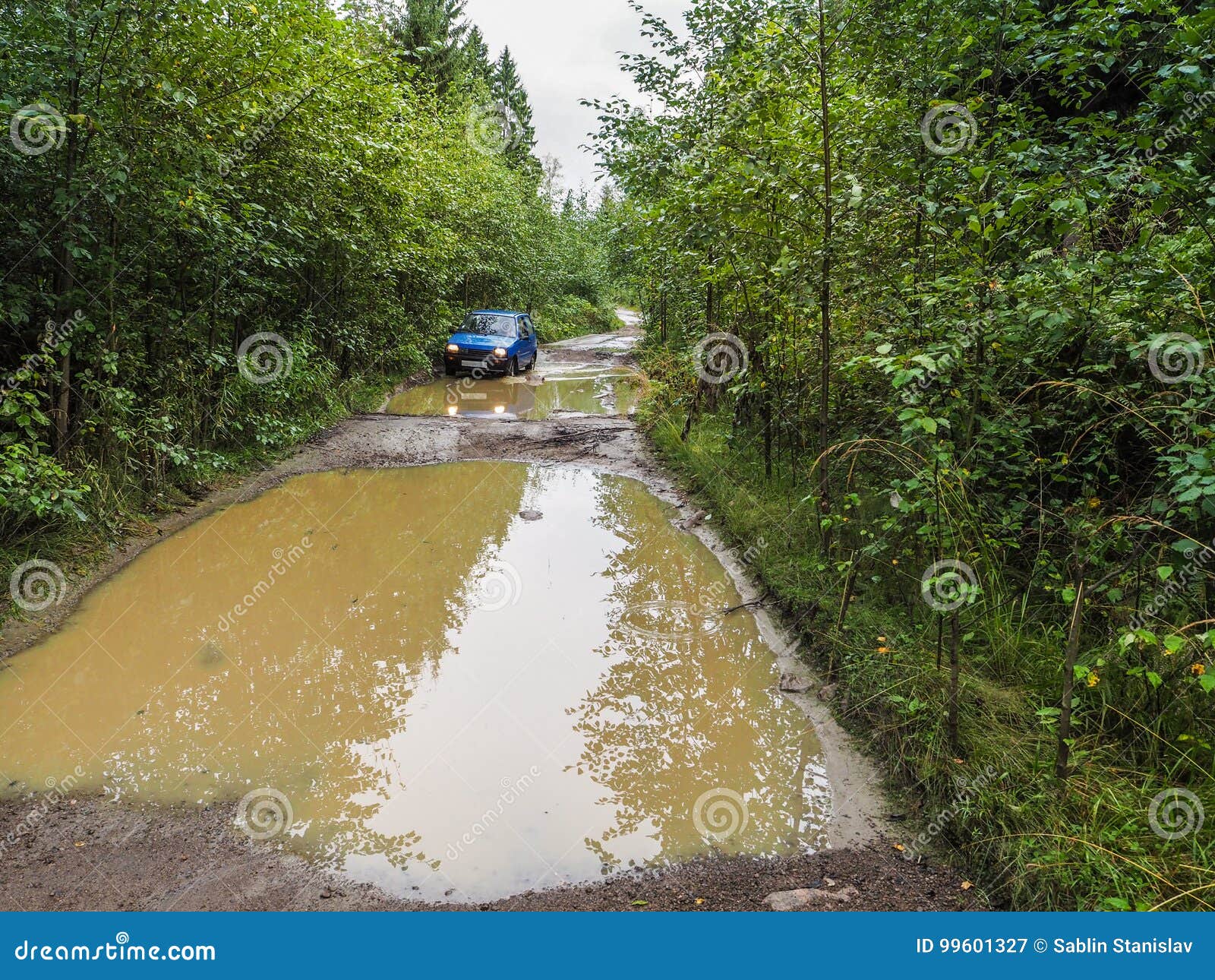 Deep in the Forest. the Vehicle Passes through Puddles in the Rain ...
