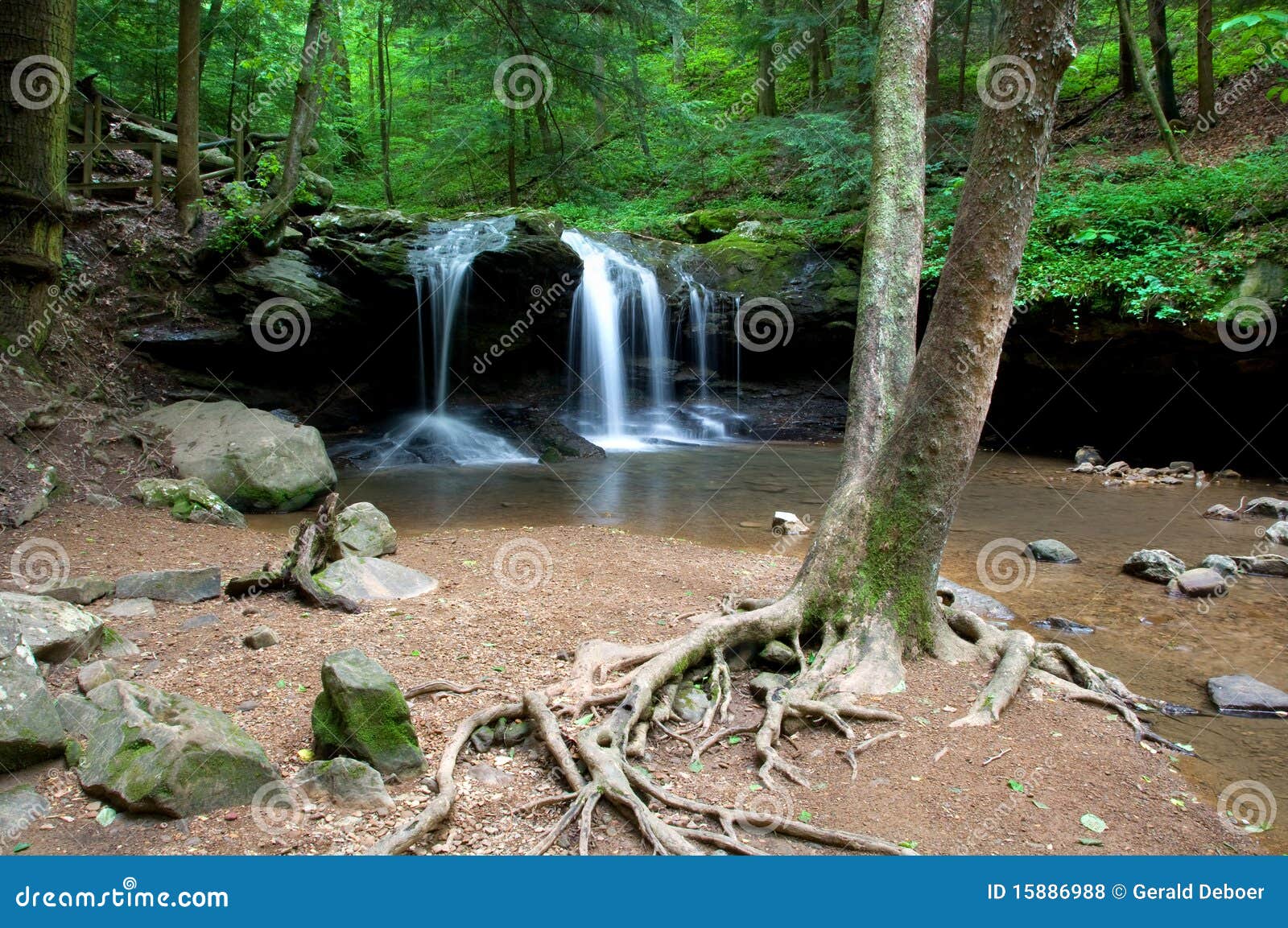 Deep Forest Waterfall stock photo. Image of stream, season - 15886988