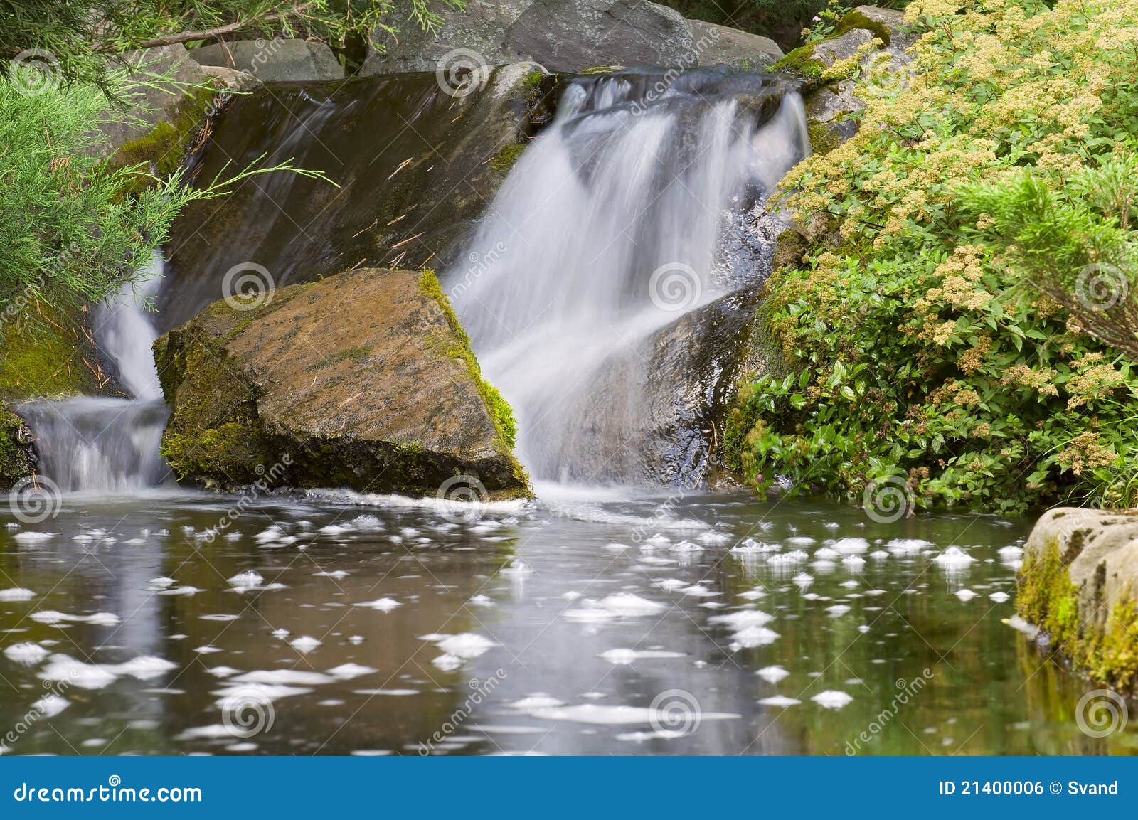 Deep forest Waterfall stock photo. Image of forest, plant - 21400006