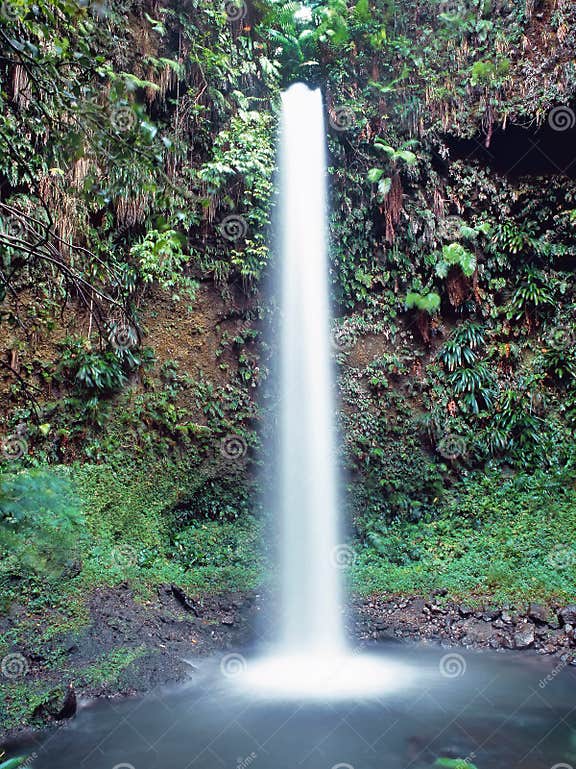 Deep forest waterfall stock photo. Image of nature, summer - 26893908