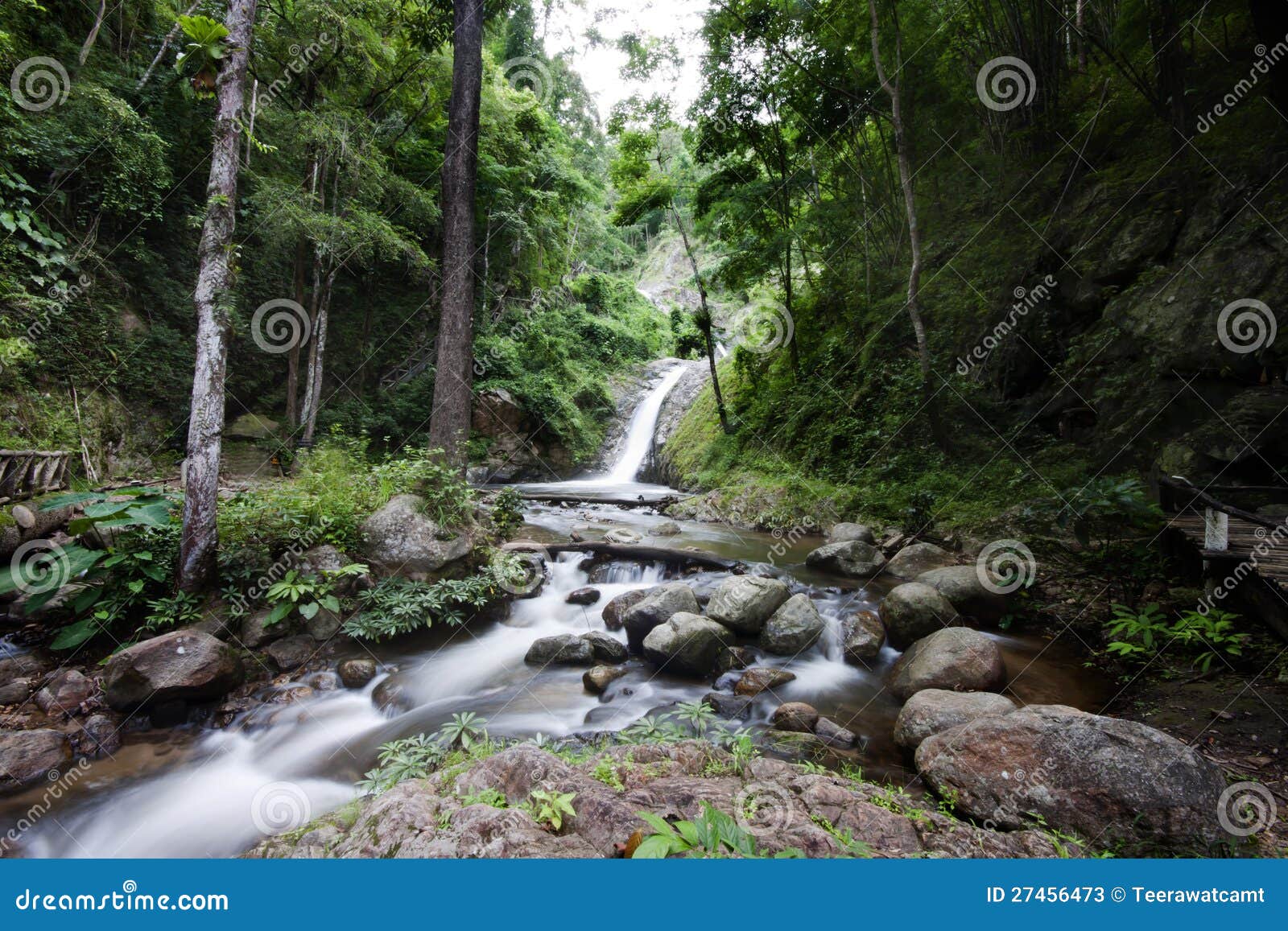 Deep Forest Waterfall in Lampang Stock Image - Image of forest ...