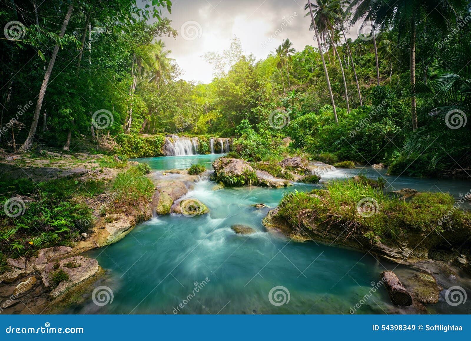 Deep Forest Waterfall National Park. Stock Image - Image of nature ...