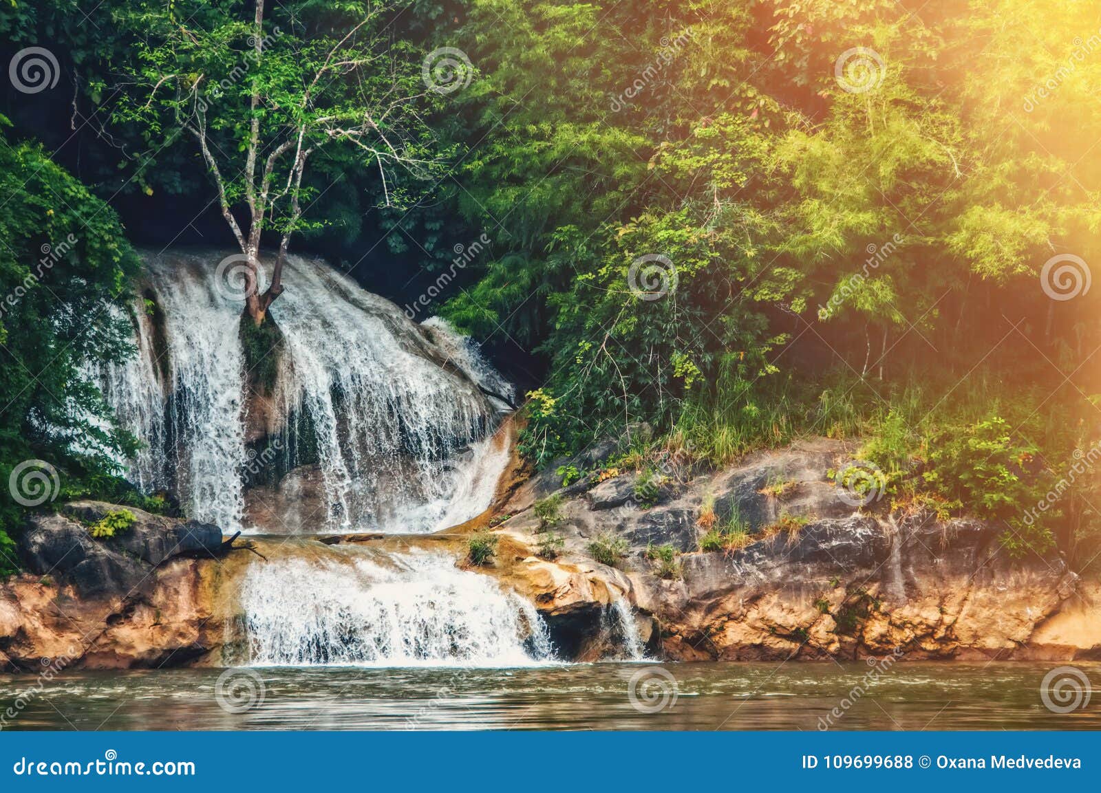 Deep Forest Waterfall in the Wild Tropical Forest. the Shoreline of the ...