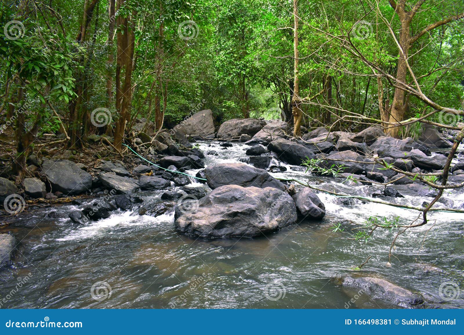 A Deep Forest from Which River is Flowing Down Stock Image - Image of ...
