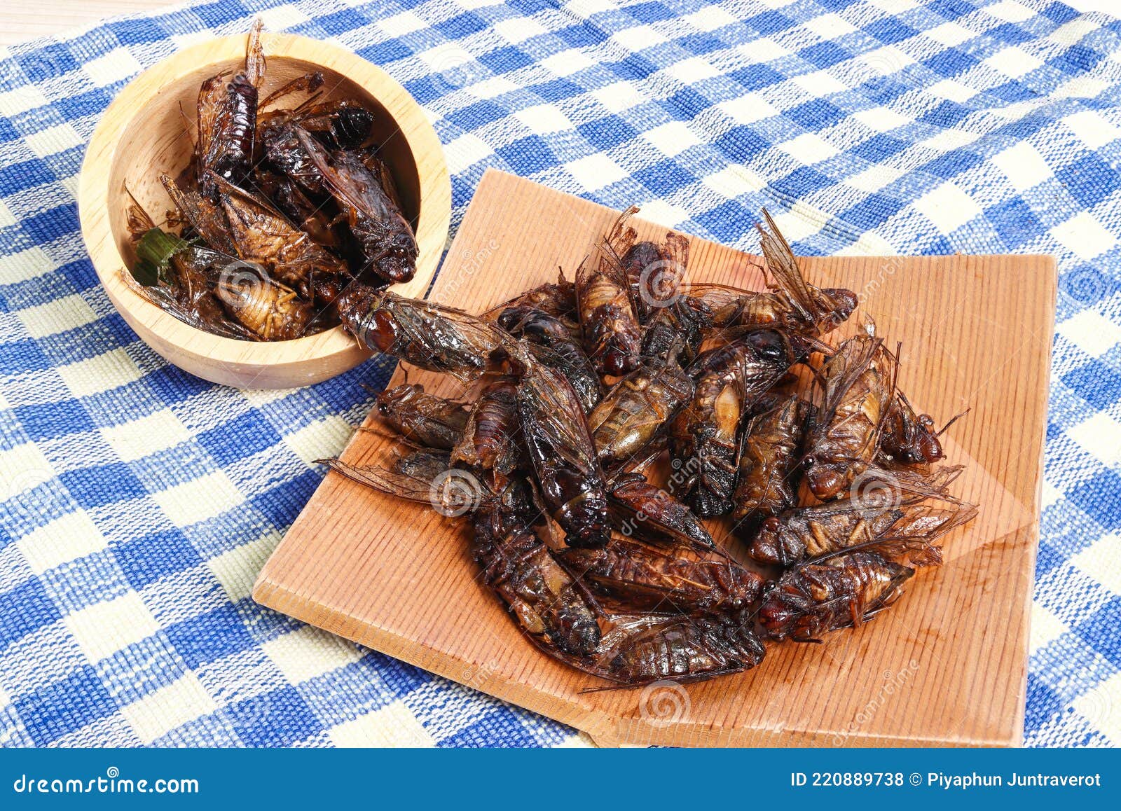 Deep Fried Cicada Thai Food Protein the Normal Traditional Local Thai ...