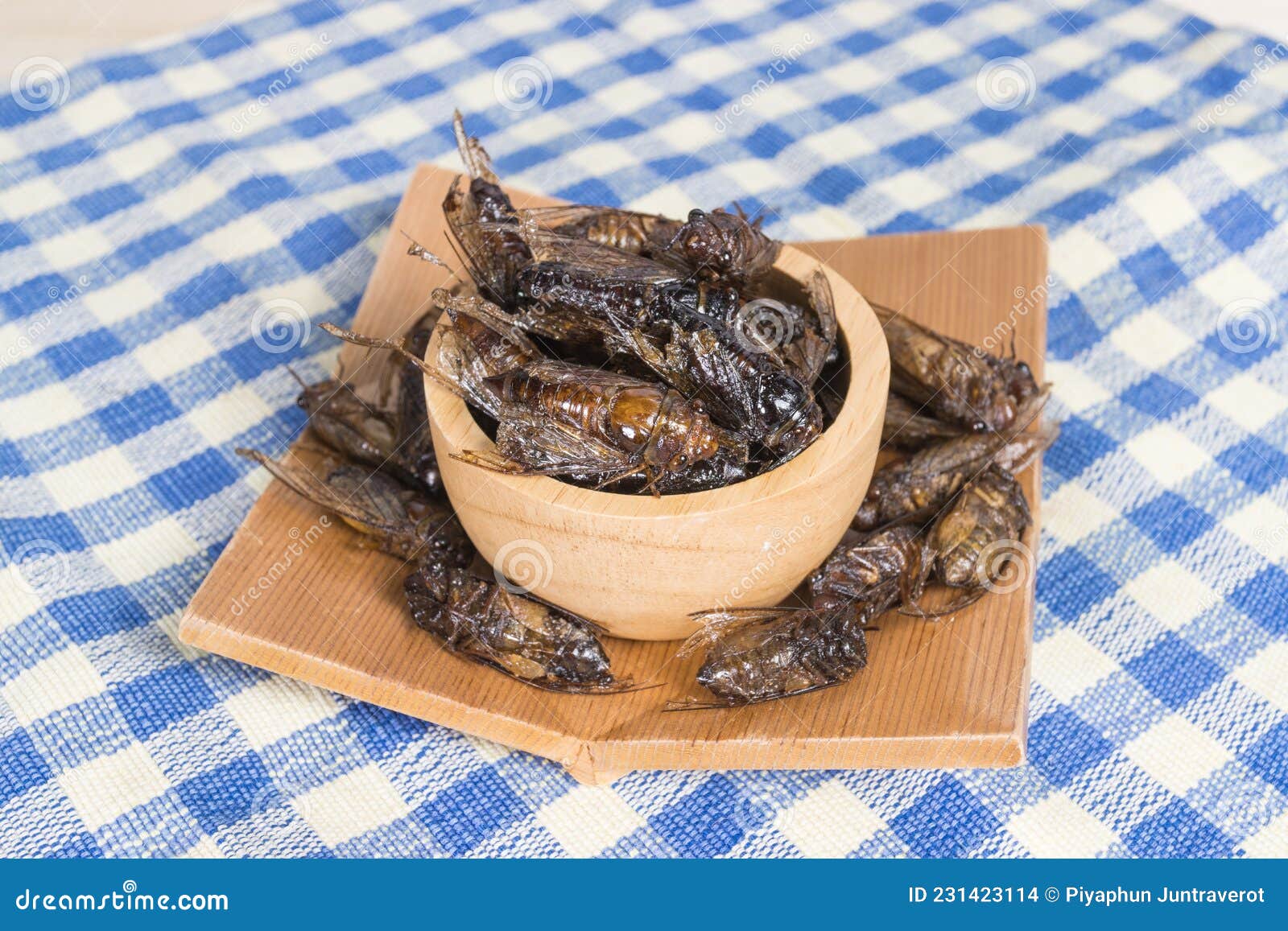 Deep Fried Cicada Thai Food Protein the Normal Traditional Local Thai ...