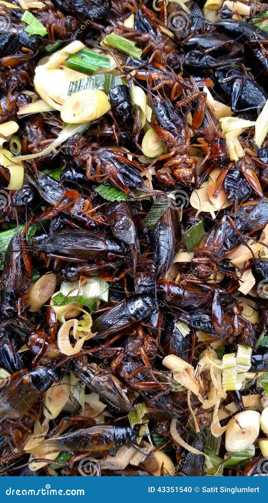 Deep fried cricket stock photo. Image of deep, dish, protine - 43351540