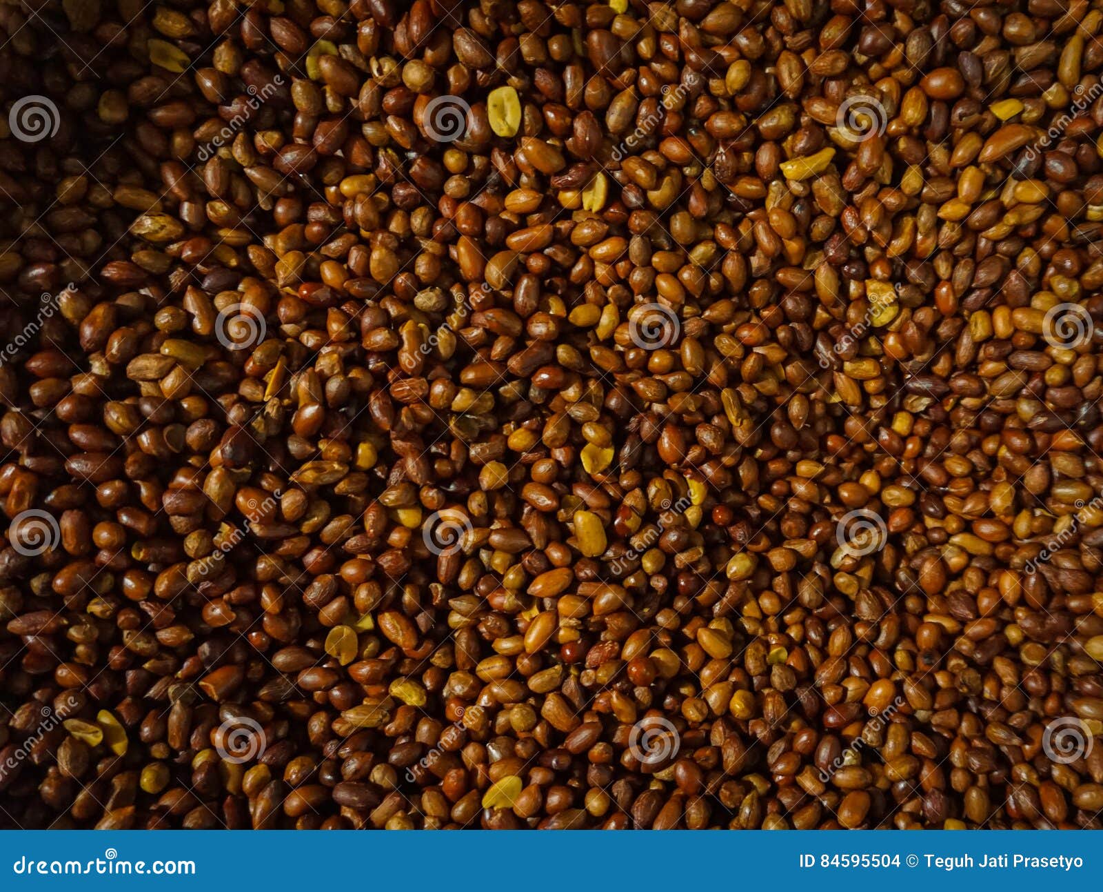 Deep Fried Ground Peanut Texture Photo Taken in Jakarta Indonesia Stock ...