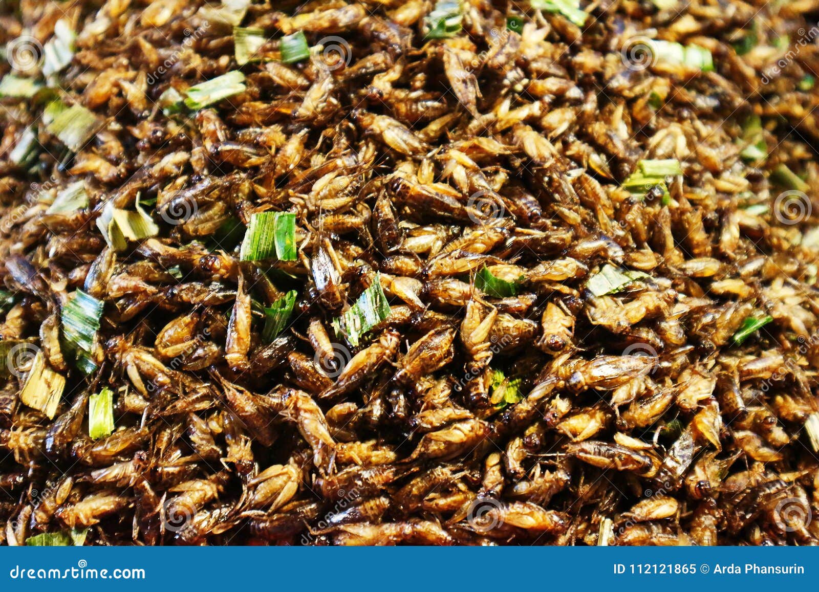Deep Fried House Crickets stock image. Image of deep - 112121865 Deep Fried House Crickets stock image. Image of deep - 112121865