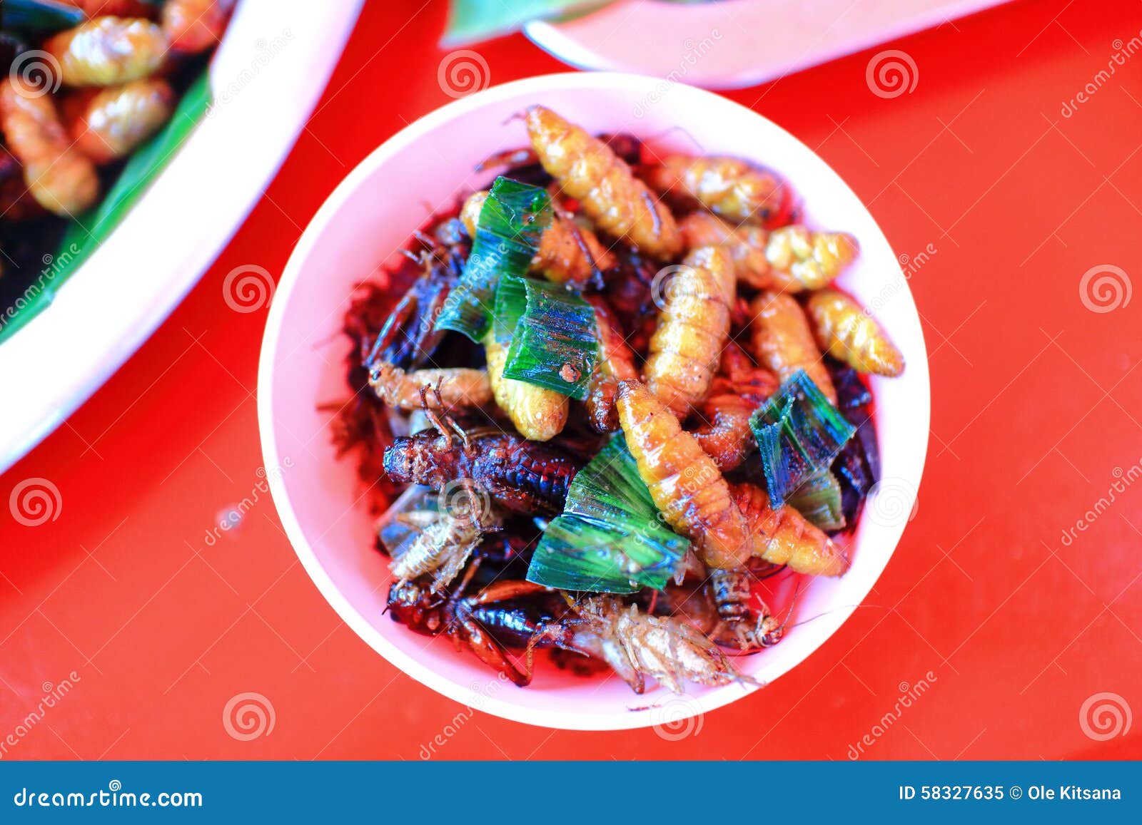 Deep fried insects stock image. Image of insects, food - 58327635