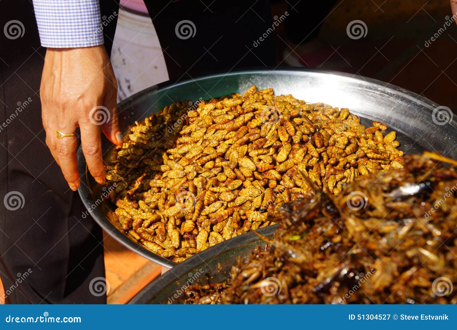 Deep fried insects stock image. Image of chicken, catydid - 51304527