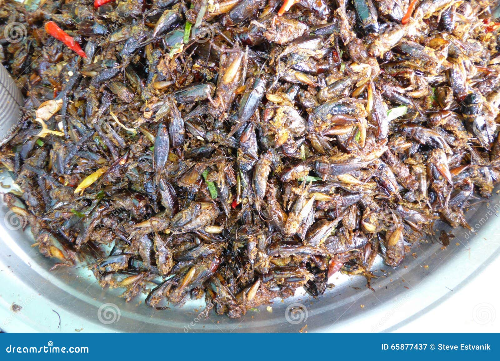 Deep fried insects stock image. Image of chicken, skoun - 65877437