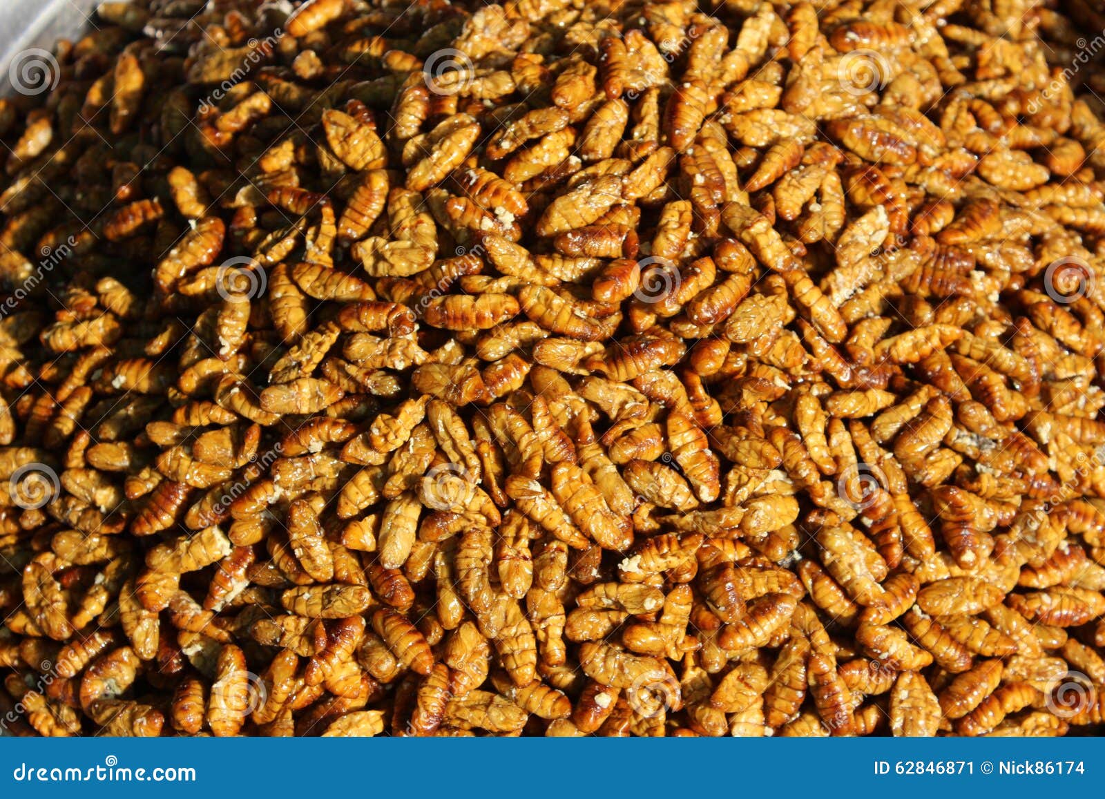 Deep fried maggots stock image. Image of food, east, tucker - 62846871