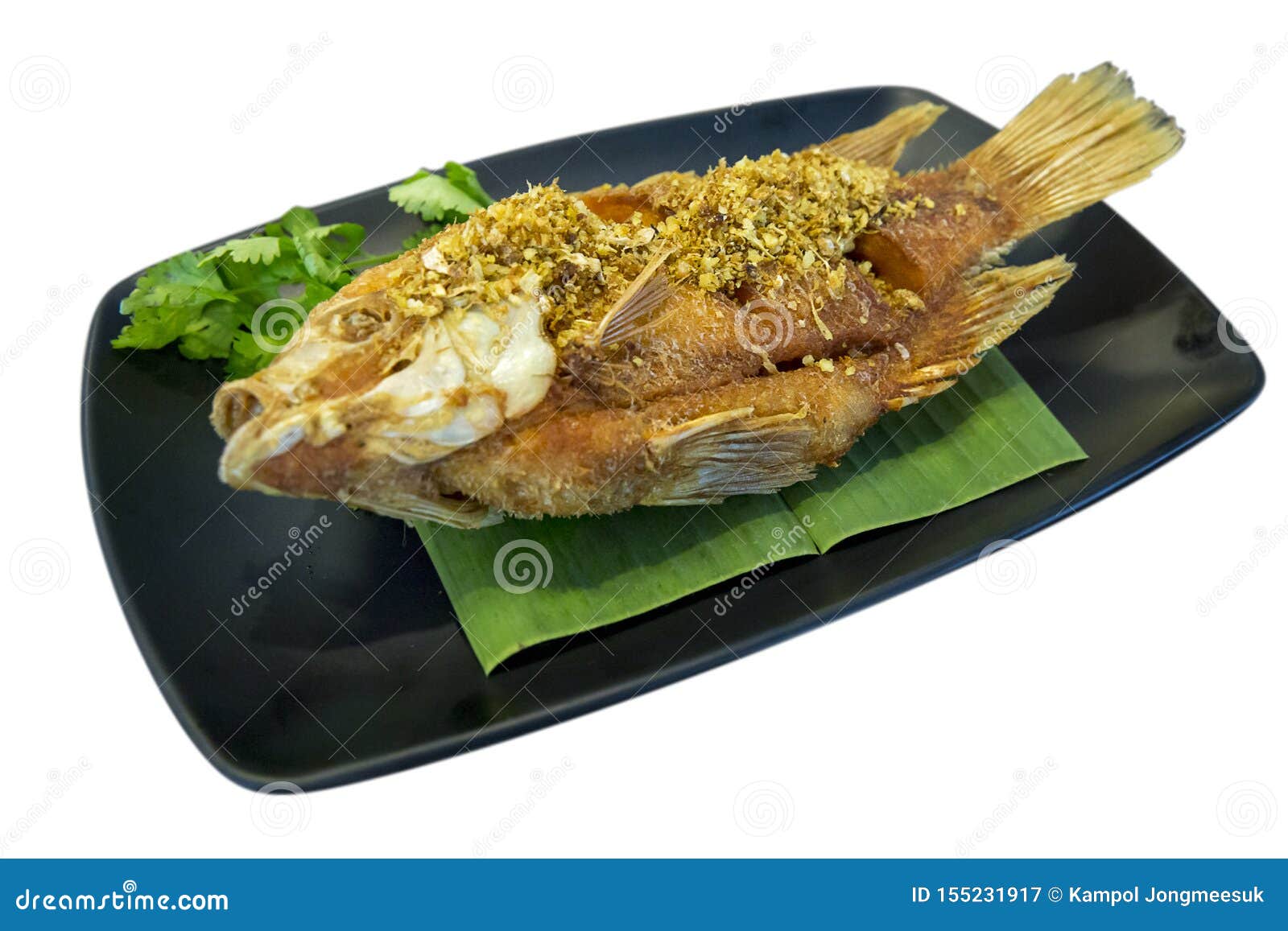 Ruby Fish Stock Image | CartoonDealer.com #132509893