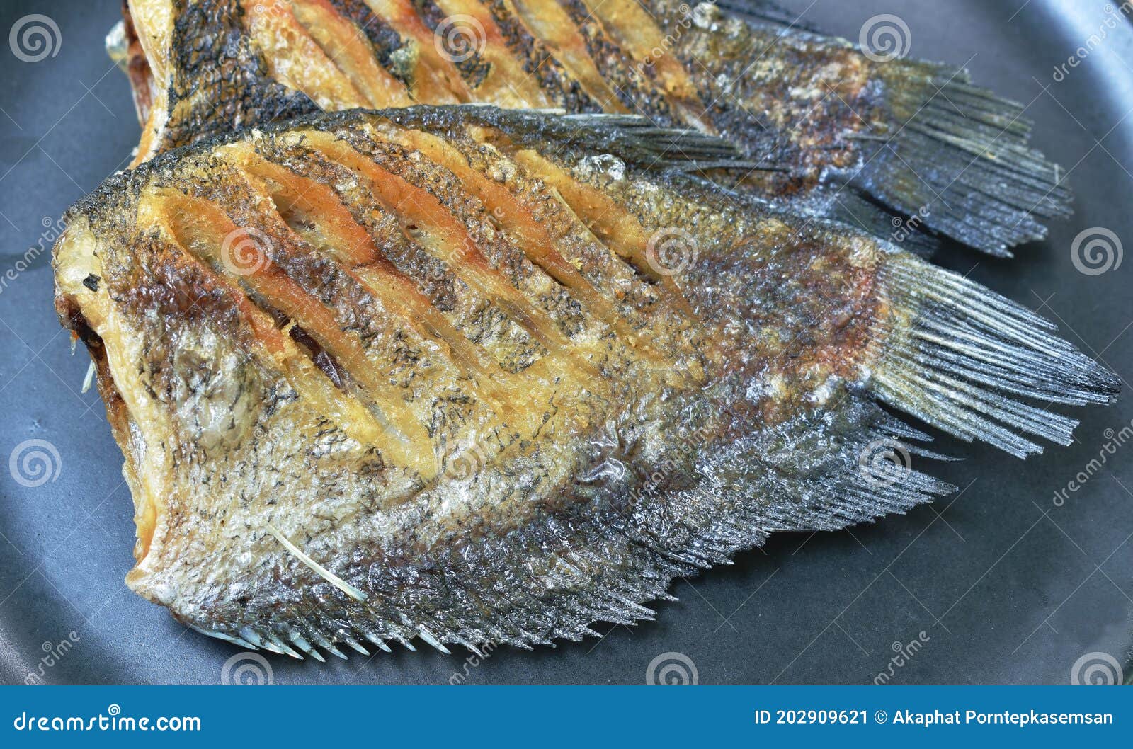 Deep Fried Snake Skin Catfish or Gourami on Dish Stock Image - Image of ...