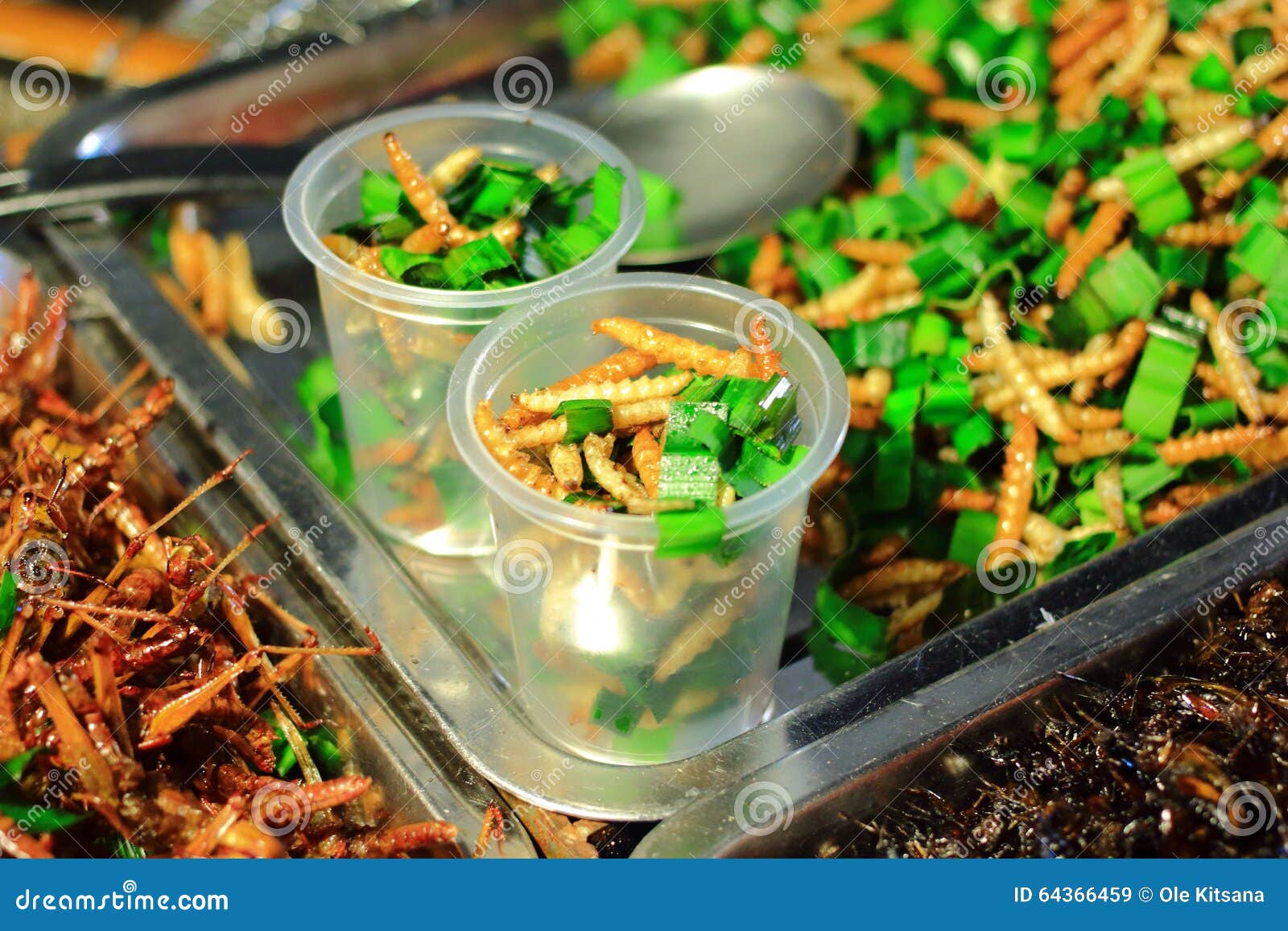 Fried Worm, Insect Food With Vegetables In The Bowls Made From Banana ...
