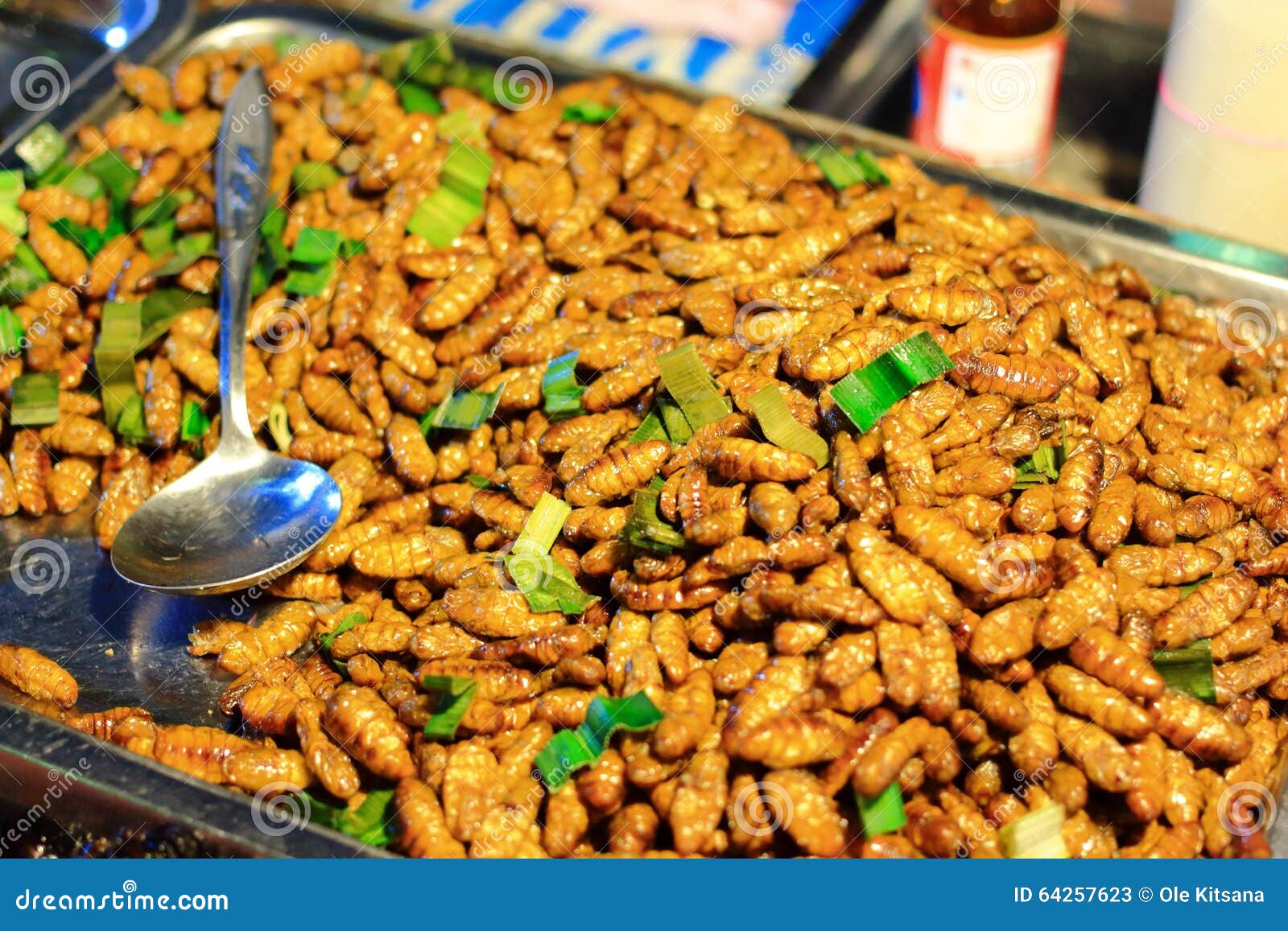 Deep fried worm stock image. Image of selling, fried - 64257623