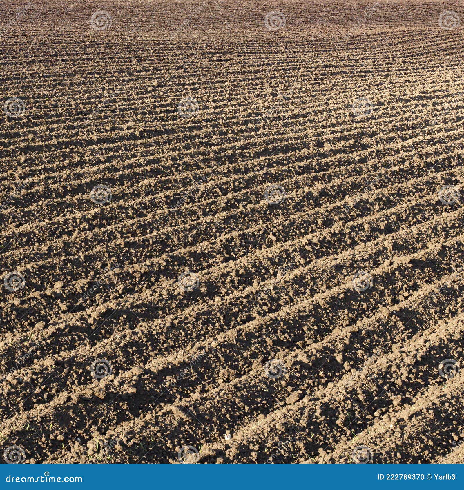 Deep Furrows in a Plowed Field Close-up Stock Photo - Image of farm ...