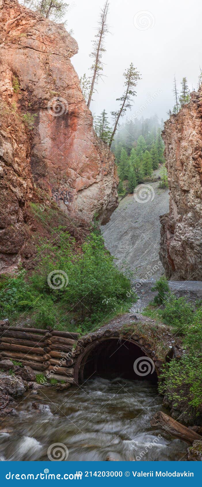 A Deep Gorge in the Altai Mountains, a Canyon with Colored Rocks Stock ...