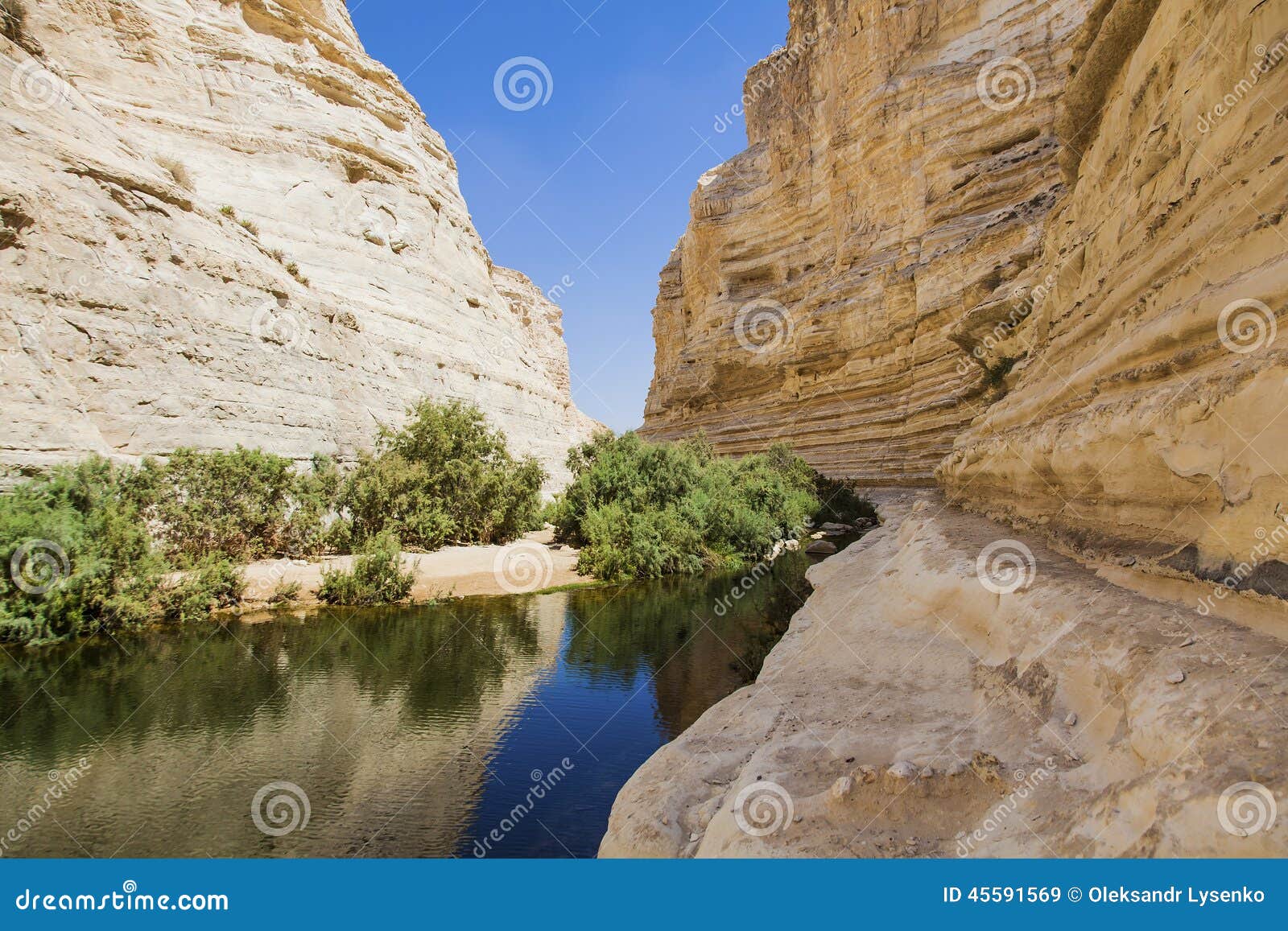 A deep gorge in desert stock image. Image of drought - 45591569