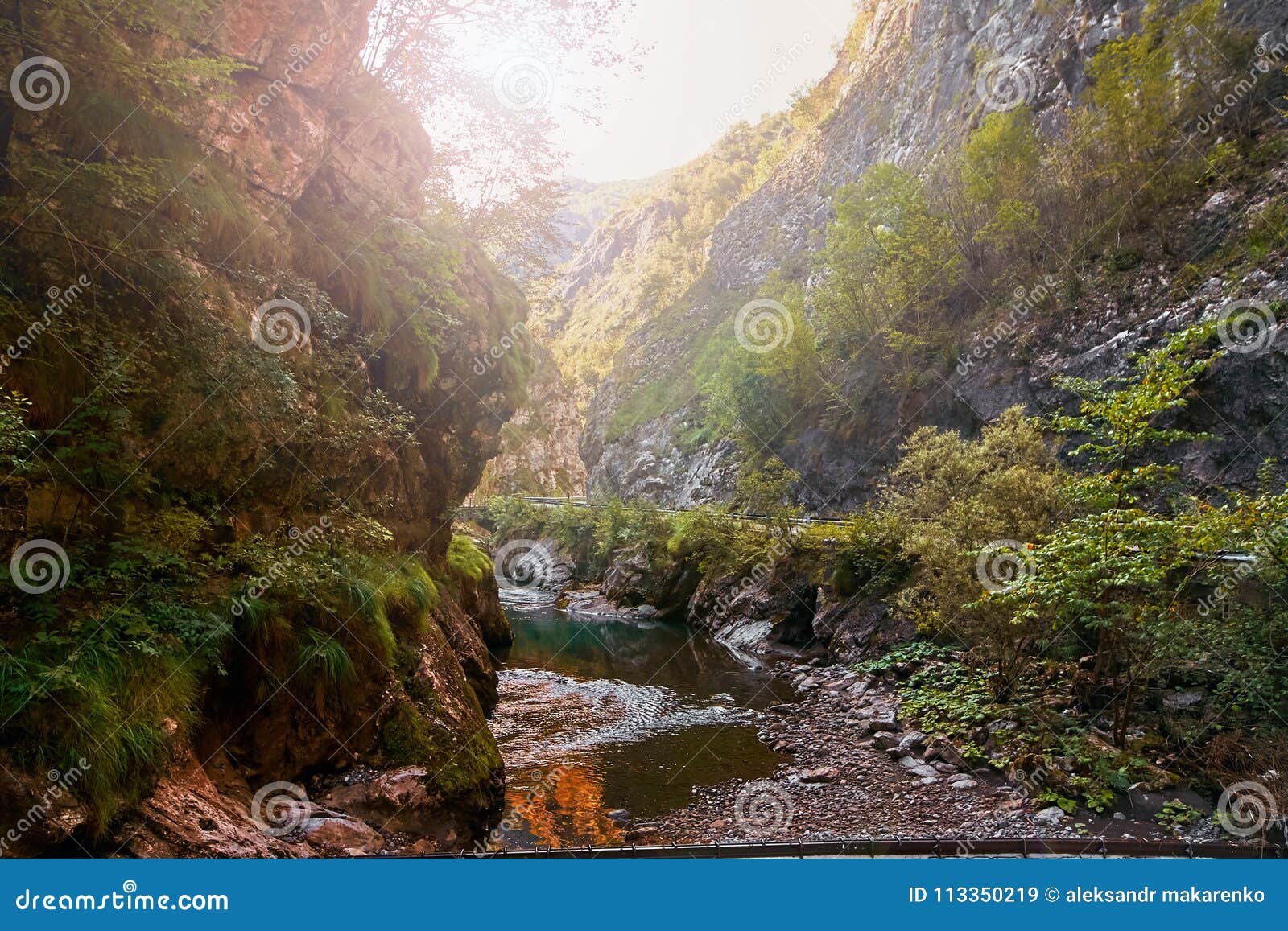 Deep Gorge in the Mountains of Italy. Stock Image - Image of landscape ...