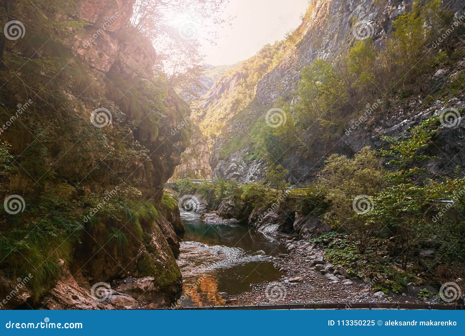 Deep Gorge in the Mountains of Italy. Stock Image - Image of ...