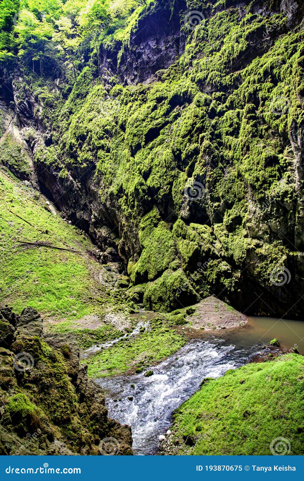 A Deep Gorge Overgrown with Vegetation with a Small River Stock Image ...
