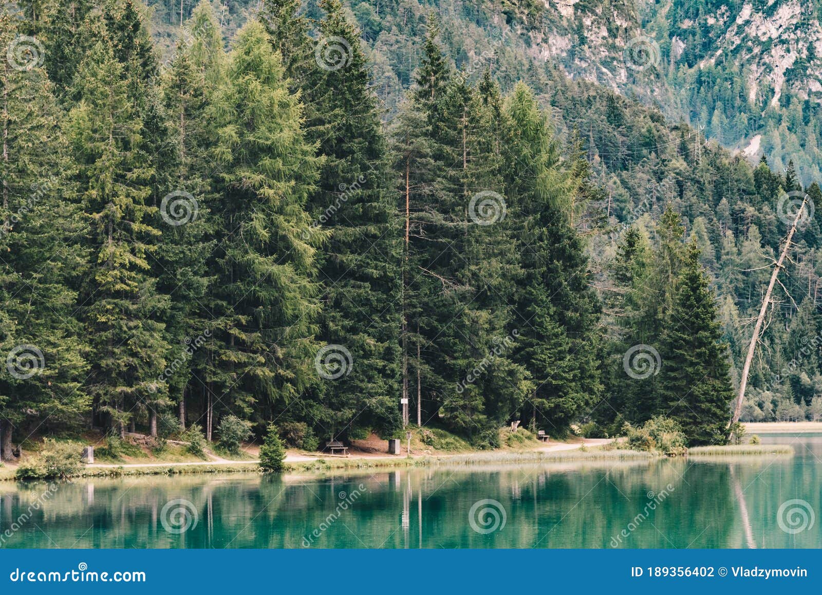 Deep Green Forest on the Lake Shore Stock Photo - Image of touristic ...