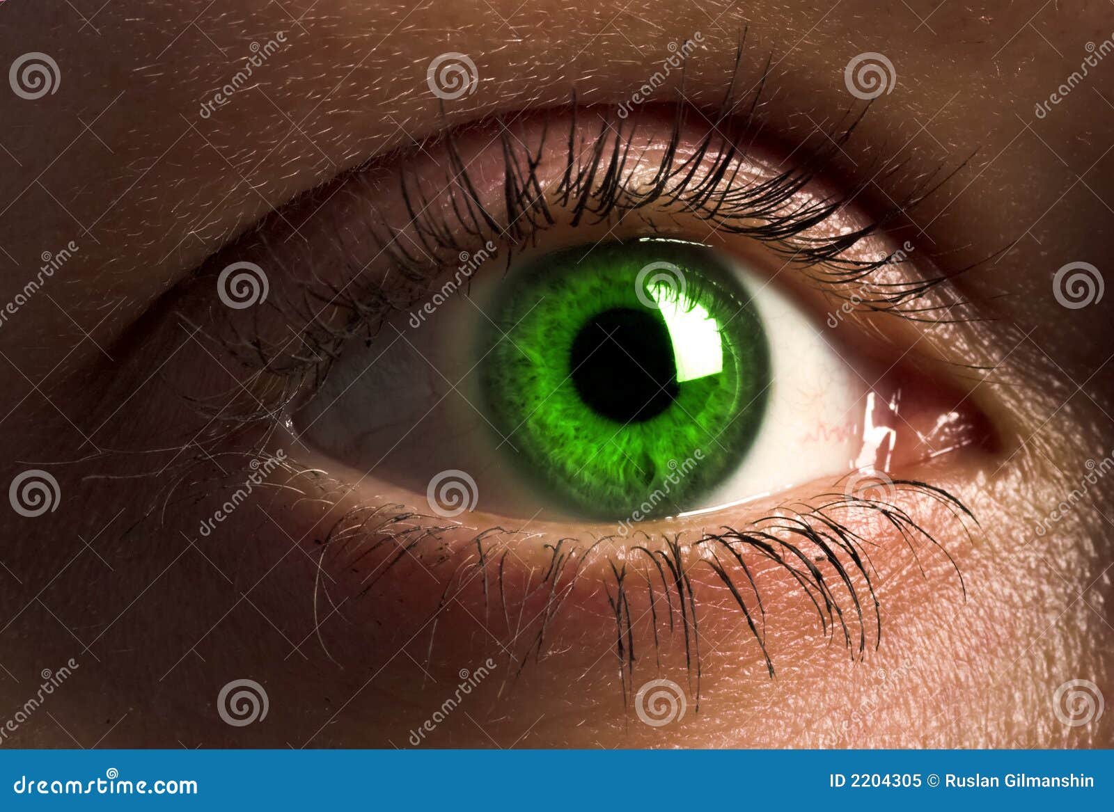 Eye. Conjunctiva And Sclera Stock Image | CartoonDealer.com #220382497