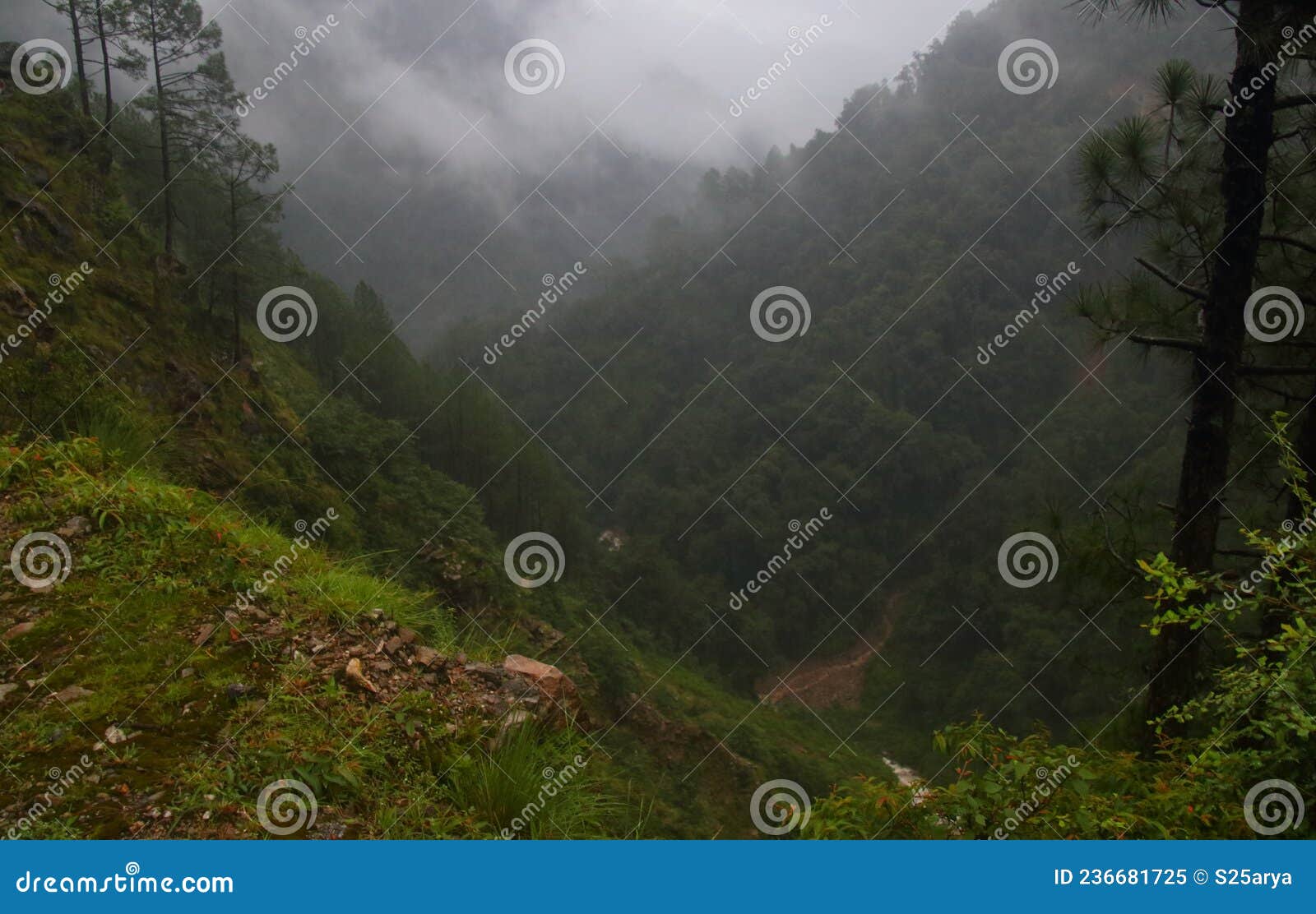 Deep Green Valley in the Himalayas Stock Image - Image of gorgeous ...