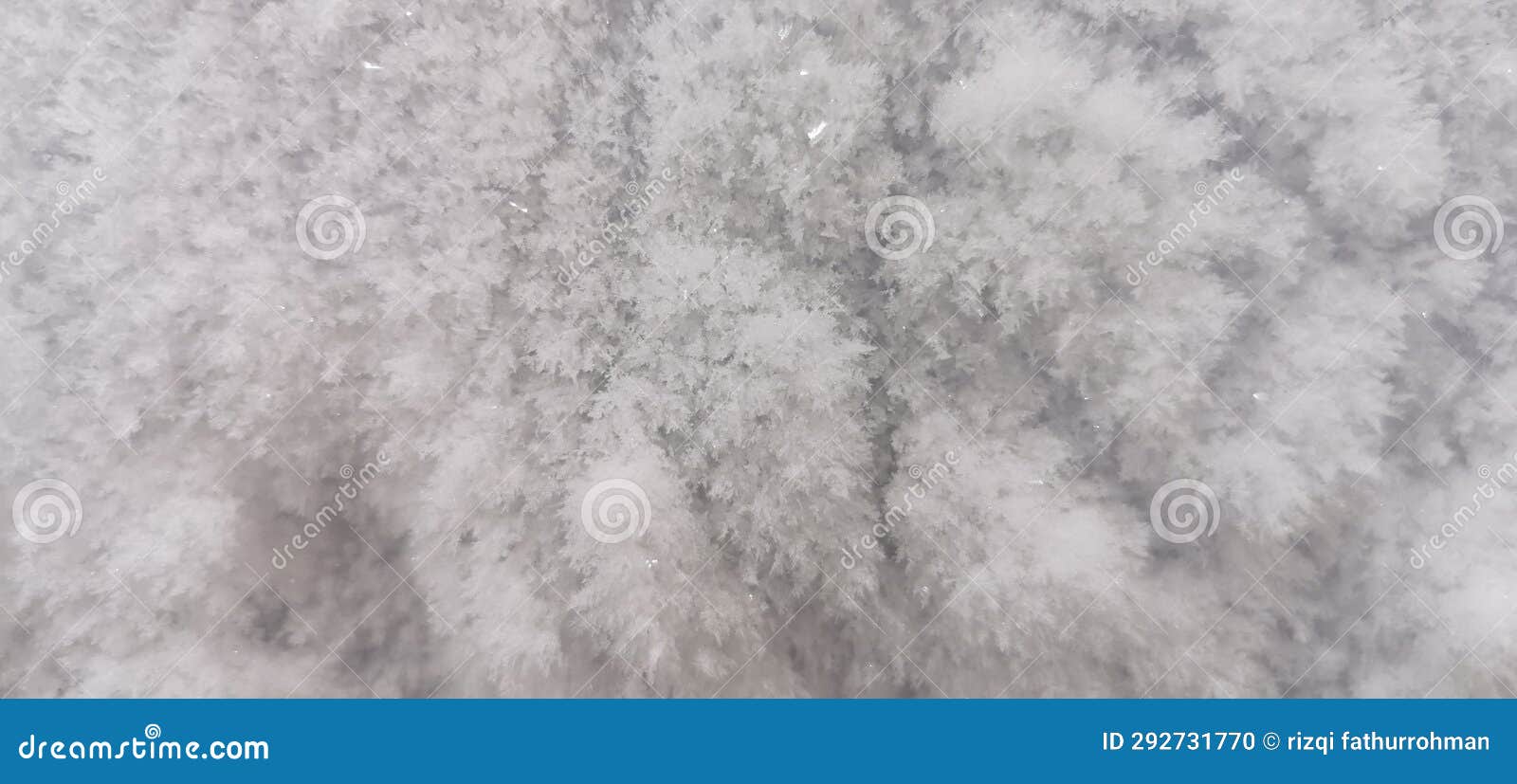 Frozen Soo Stock Photos - Free & Royalty-Free Stock Photos from Dreamstime