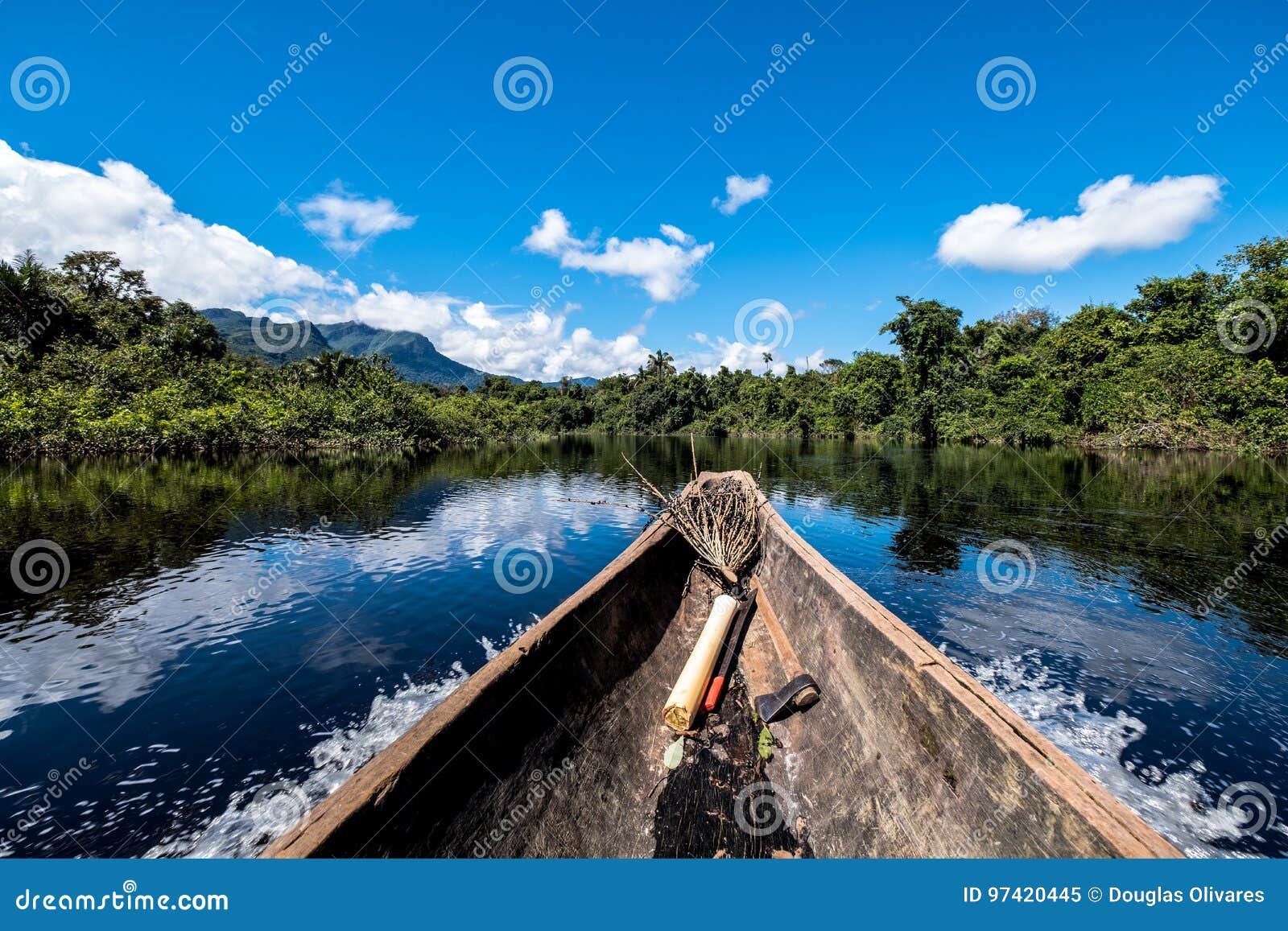 Deep in the Jungle stock image. Image of travel, jungle - 97420445