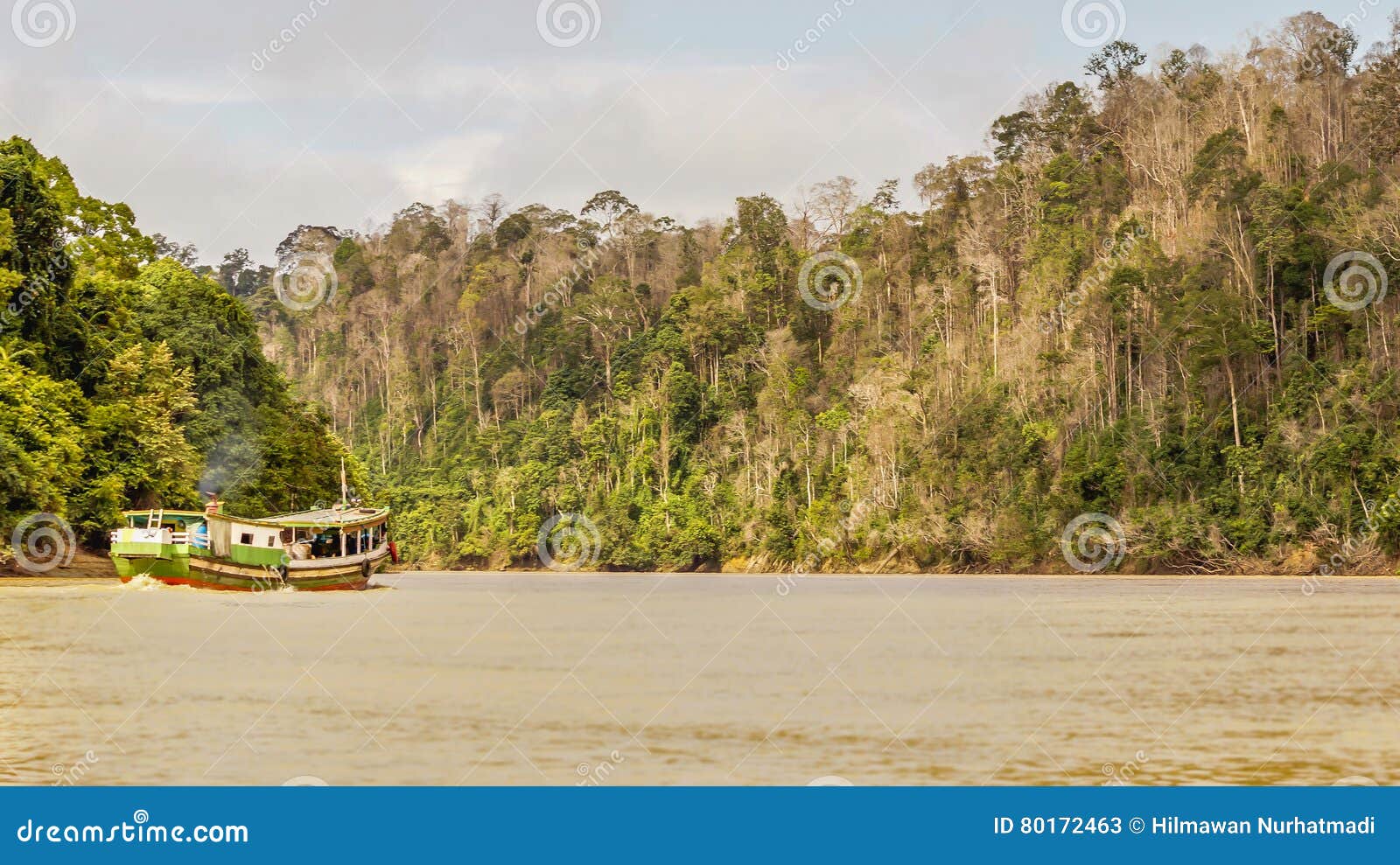 A Wooden Boat Cruising the River Deep in the Forest Stock Image - Image ...