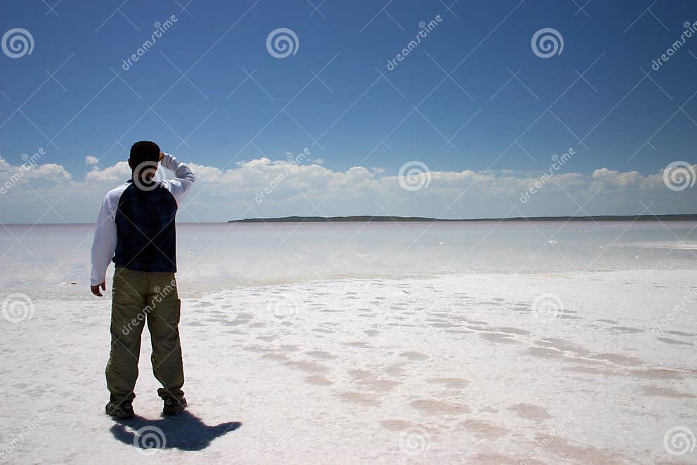 Deep Look stock image. Image of diverse, blue, water, depth - 21827