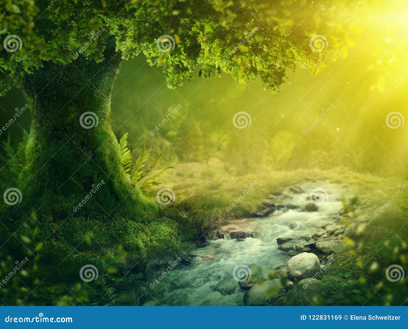 Deep magic forest stock image. Image of imagine, scenery - 122831169