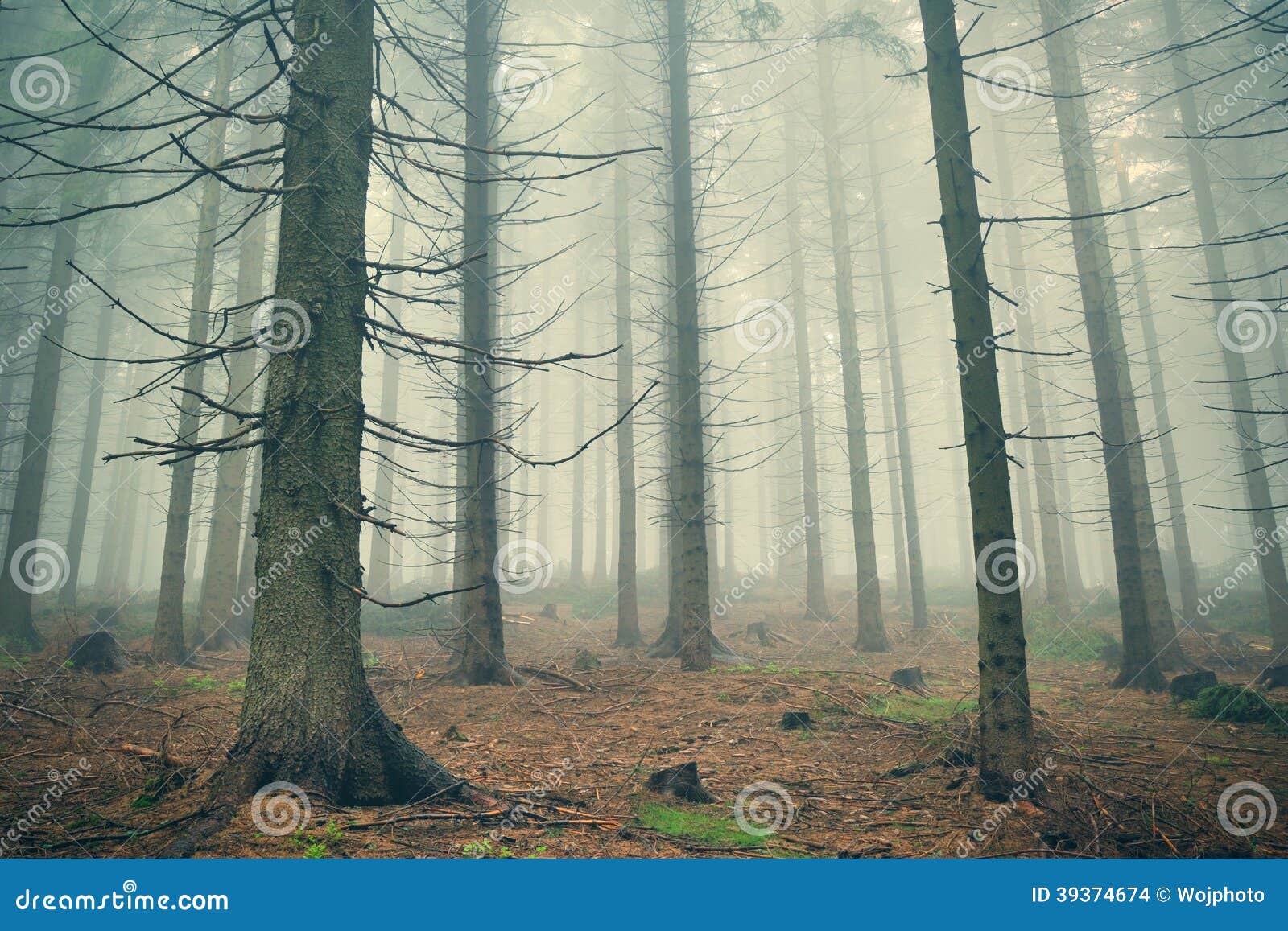 Scary Mountain In UAE Desert Royalty-Free Stock Image | CartoonDealer ...