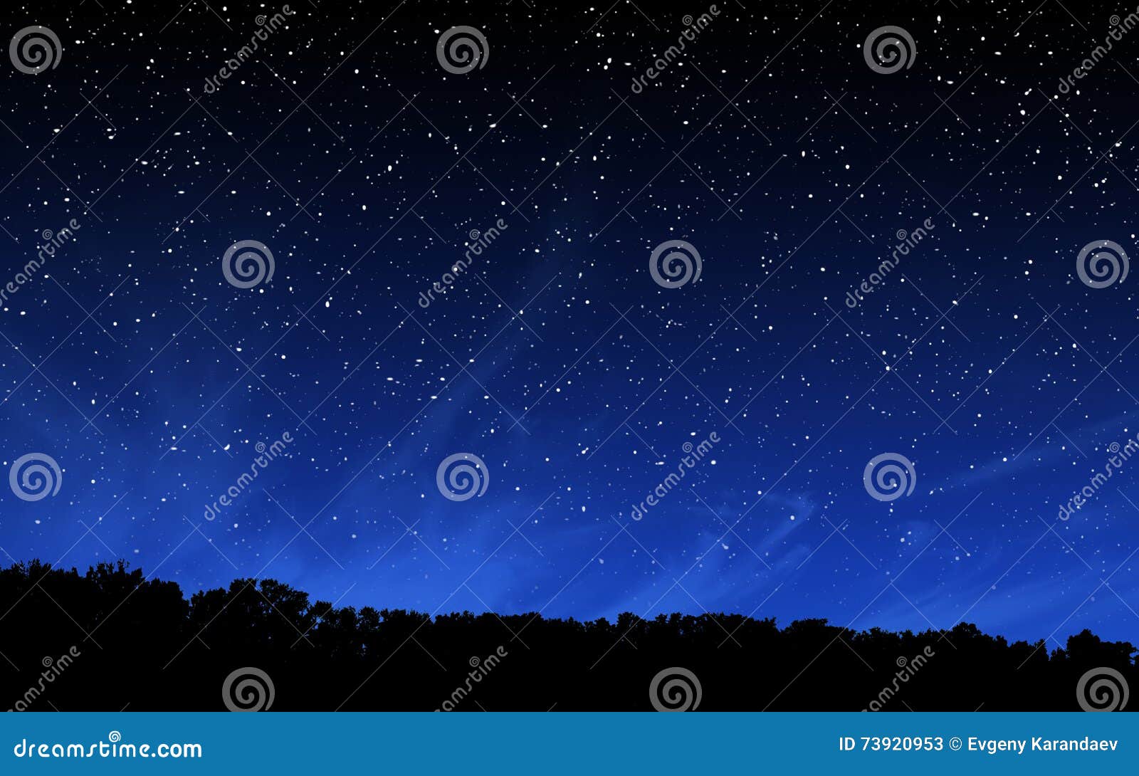 Deep Night Sky with Many Stars and Forest Stock Image - Image of black ...