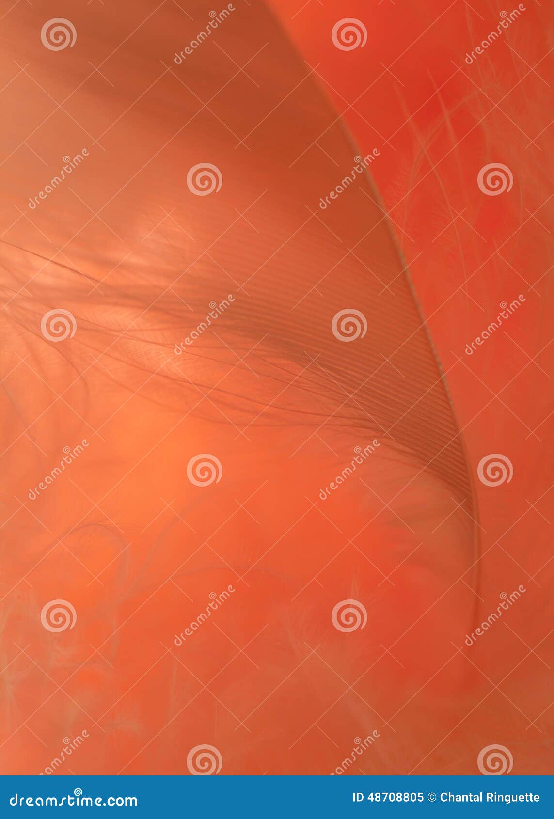Deep orange abstract stock image. Image of deep, orange - 48708805