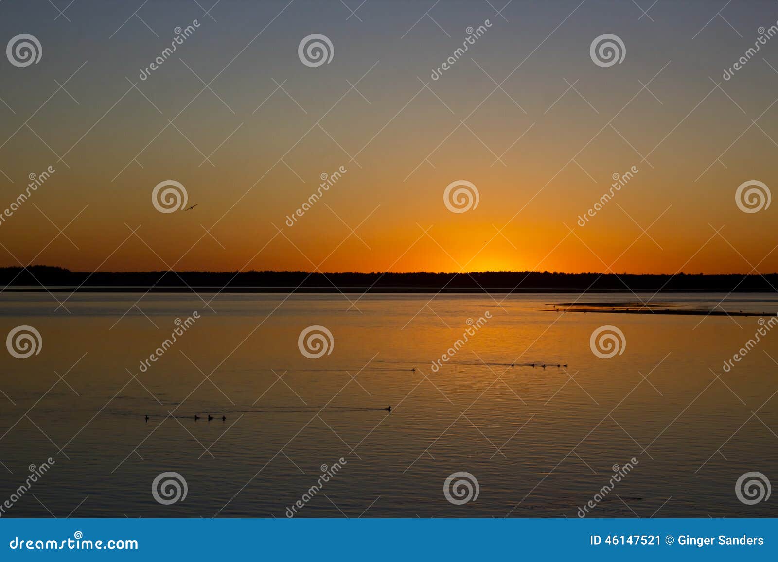 Deep Orange Sunset Over Netarts Bay with Birds Oregon Stock Image ...
