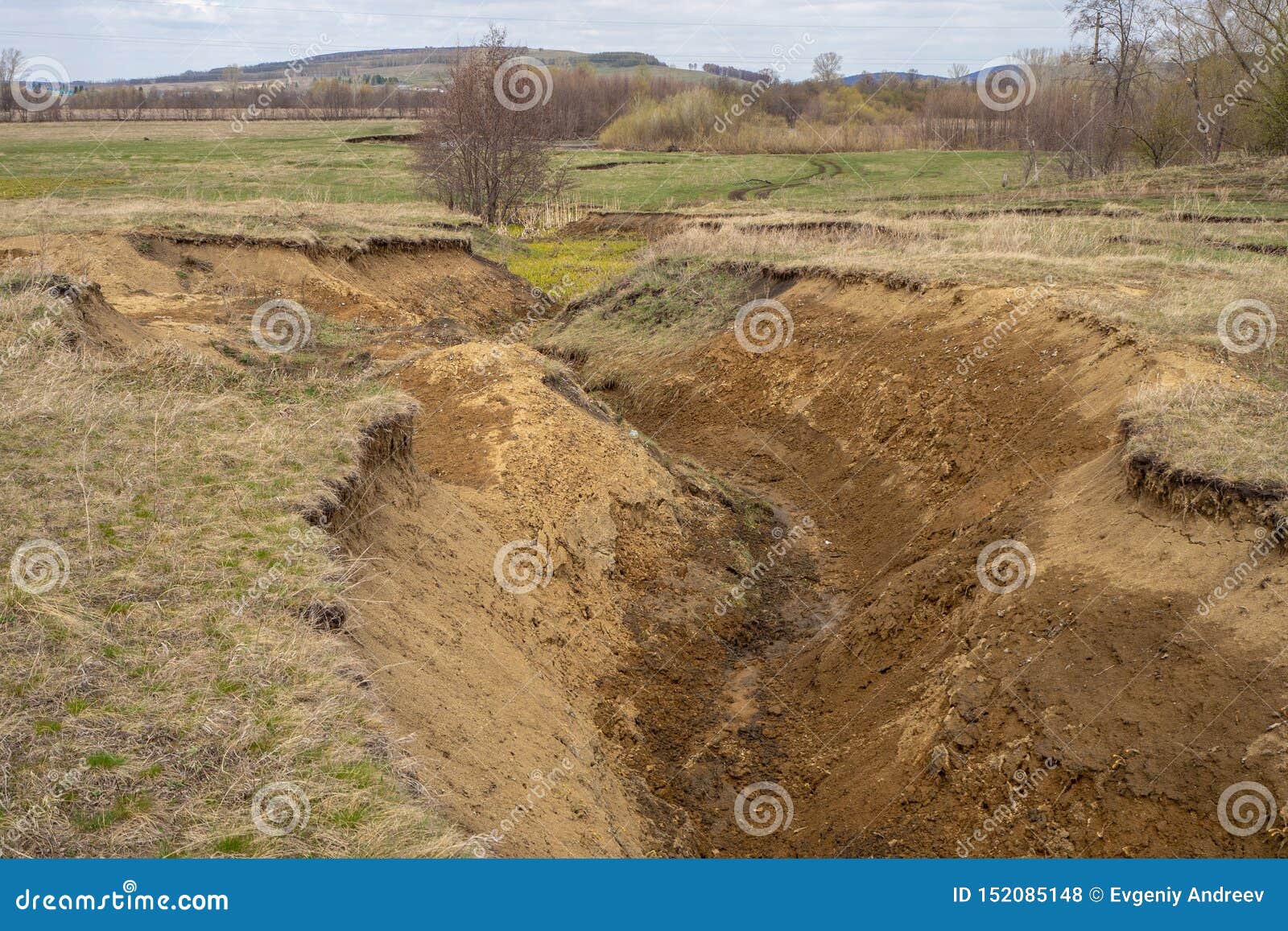 Deep ravine stock photo. Image of park, beautiful, bush - 152085148