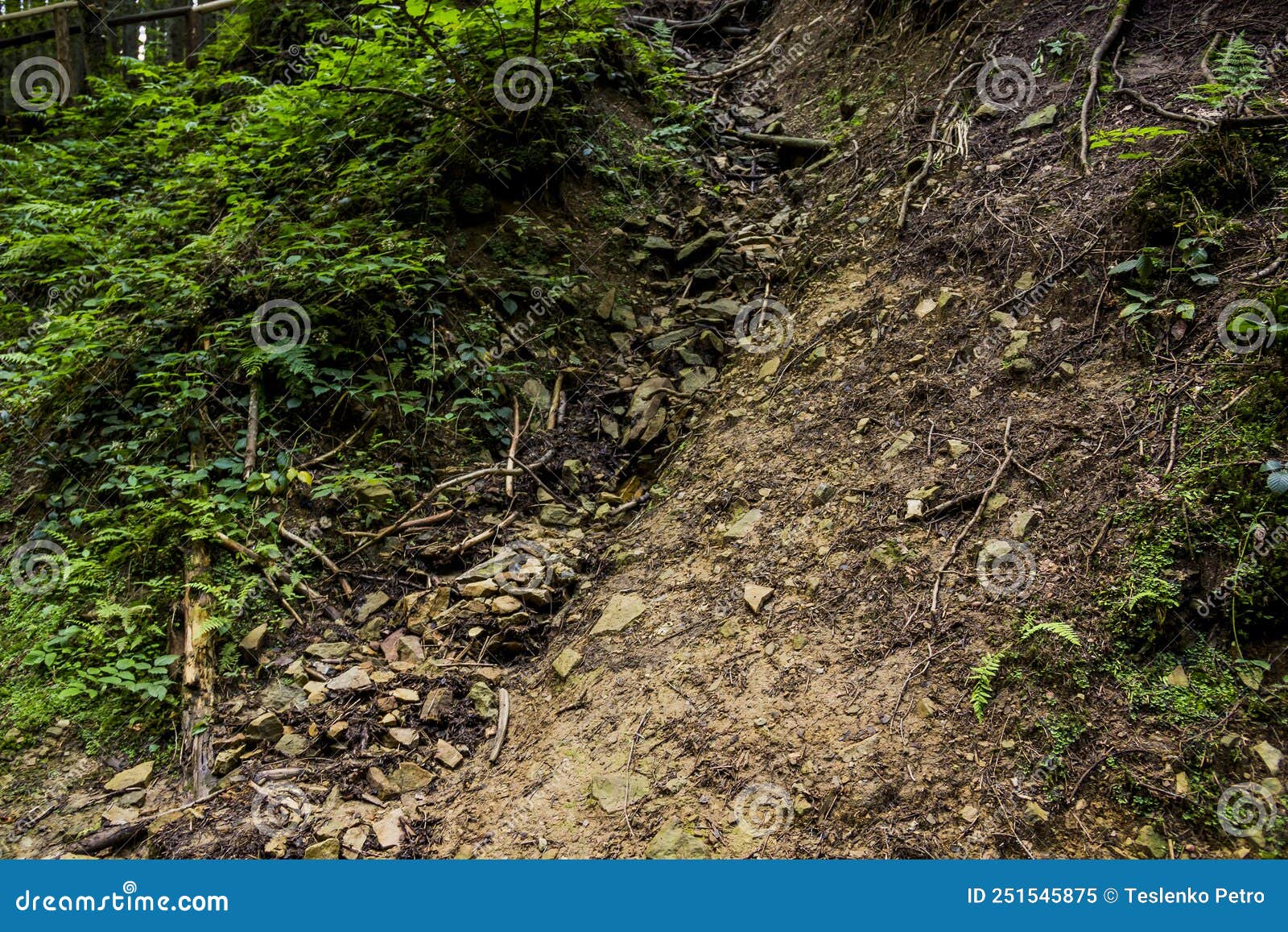 Deep ravine in the forest stock image. Image of combe - 251545875