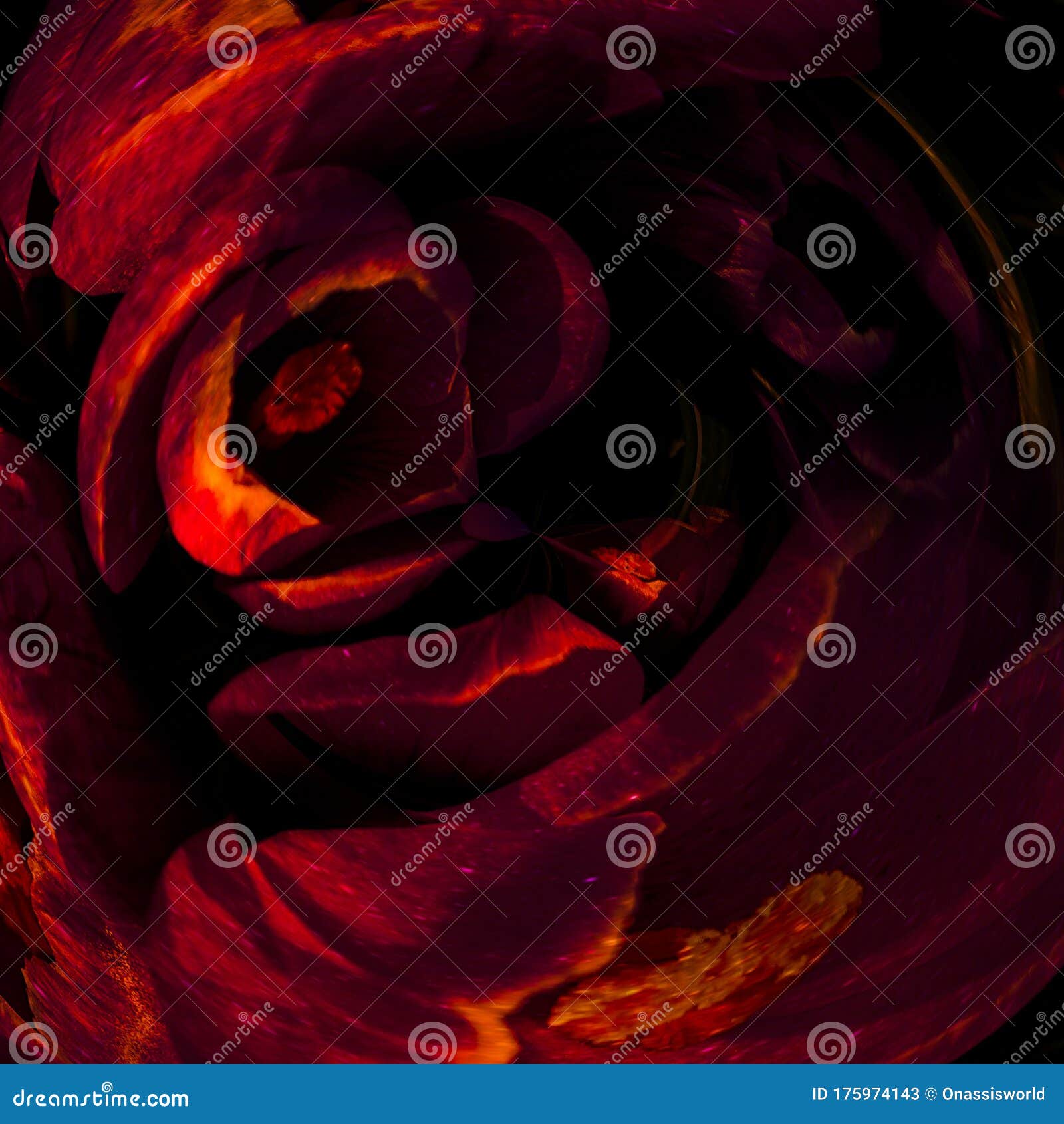 Deep Red Rose Petals Abstract Art Background Stock Illustration ...