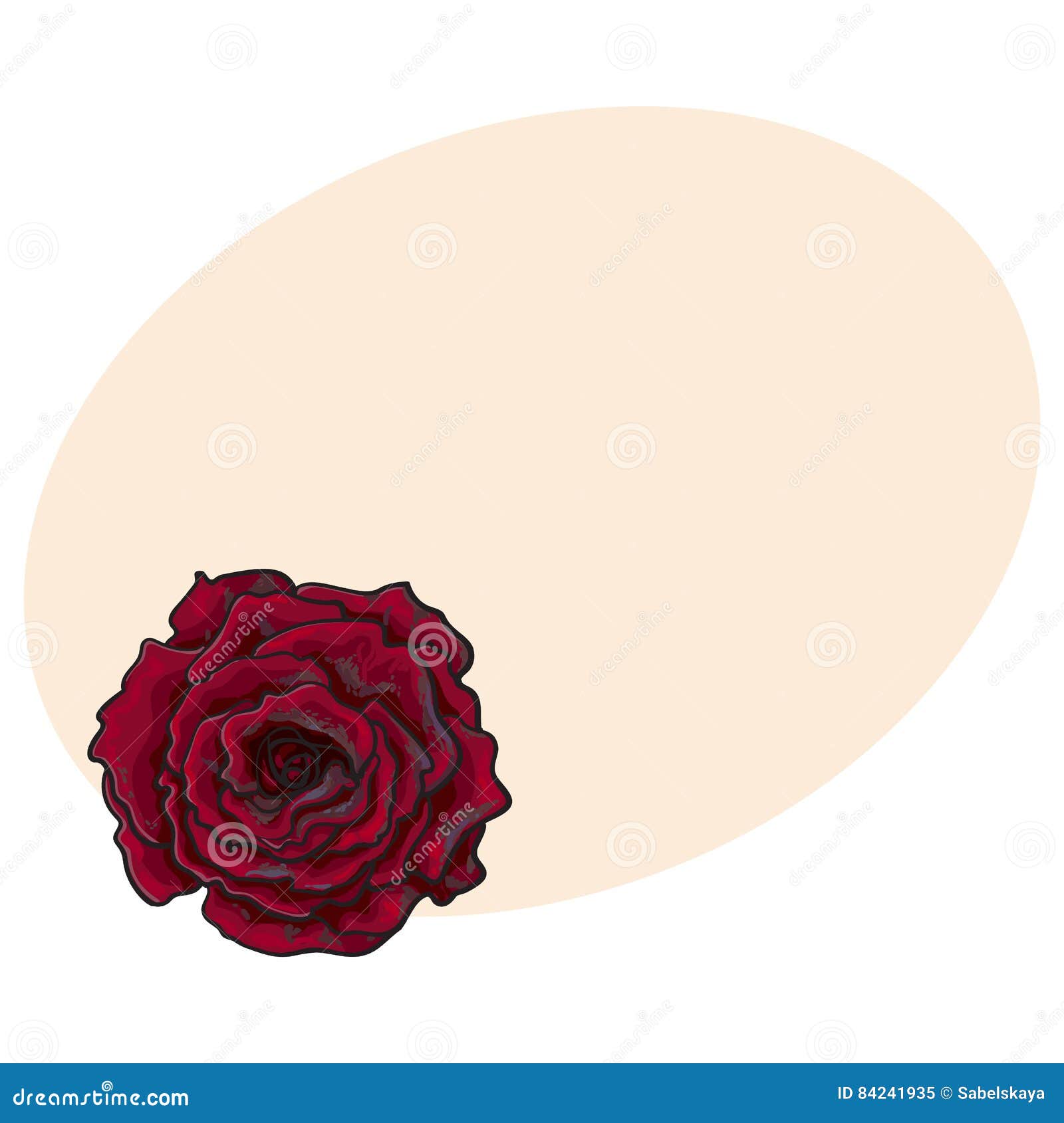Deep Red, Ruby Rose, Top View Isolated Sketch Vector Illustration Stock ...