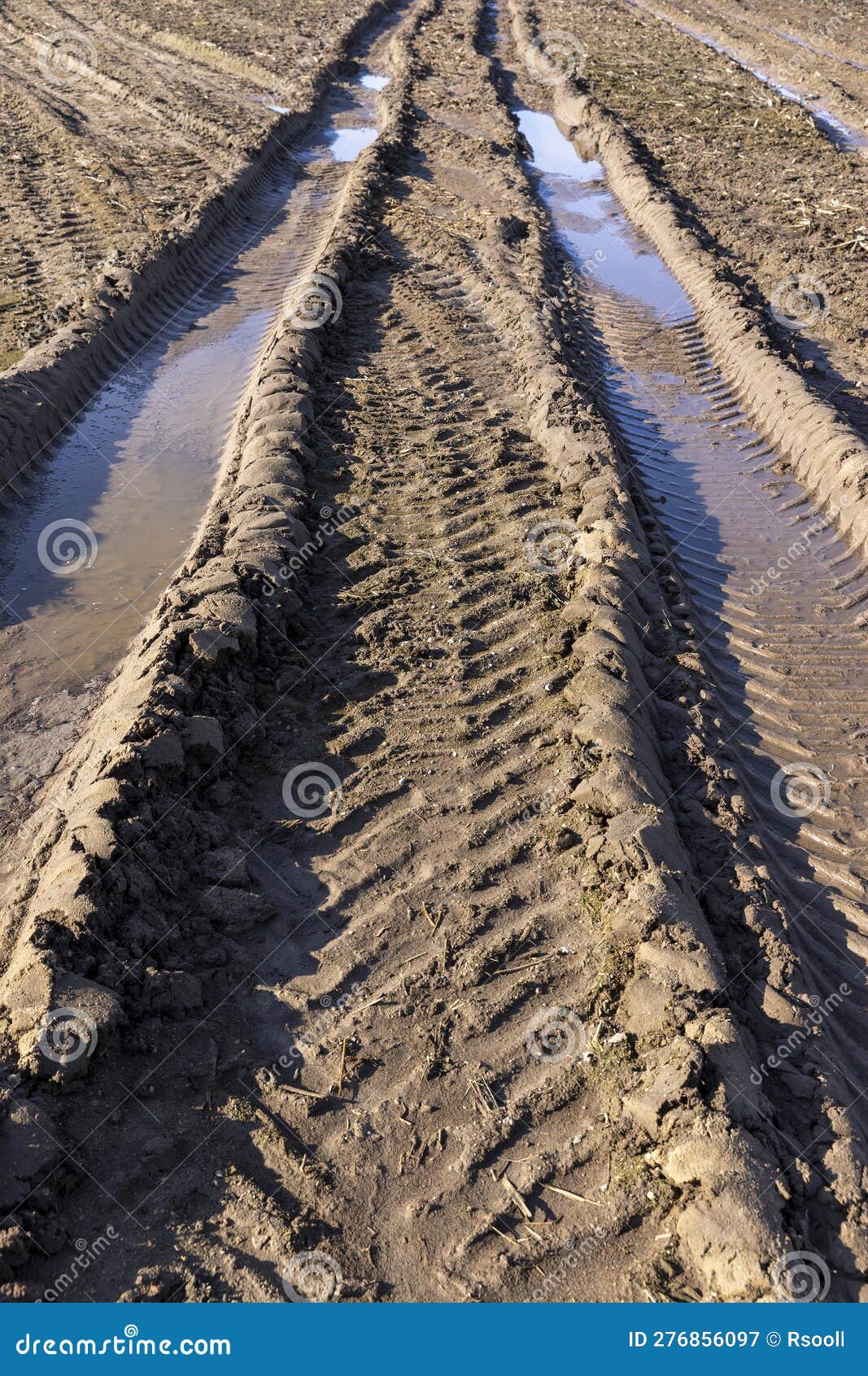 Deep Ruts from Cars in the Mud of the Field Stock Image - Image of ...