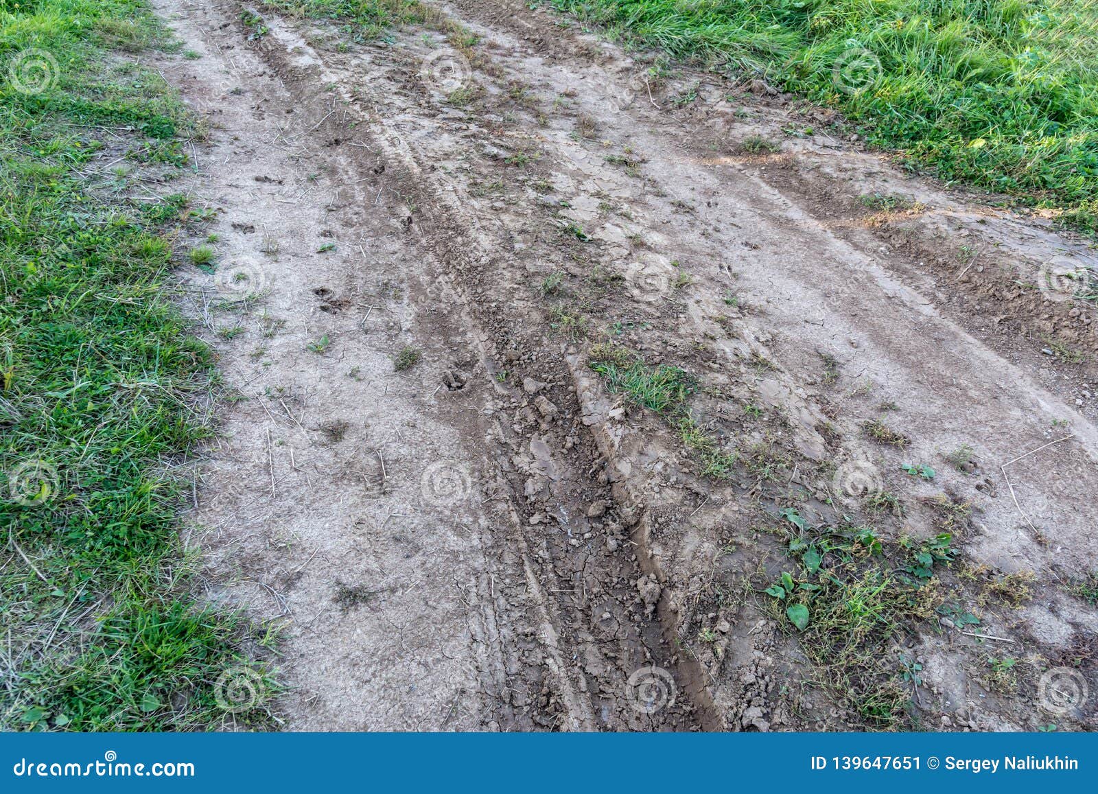 Deep Ruts with Water from a Tractor Stock Image - Image of agriculture ...